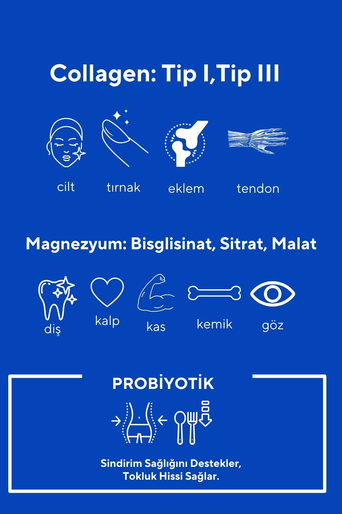 Vita Ceel 2'li Magnezyum Complex Ve Collagen Tip 1, 3 - Fiyatı, Yorumları