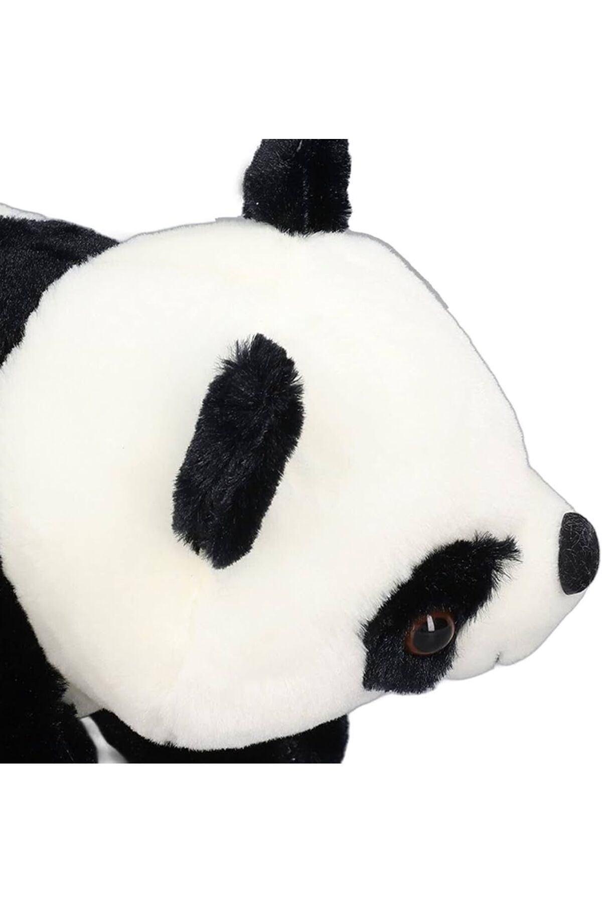 farist Panda Plush Toy, 20cm for Home Bedroom - Trendyol