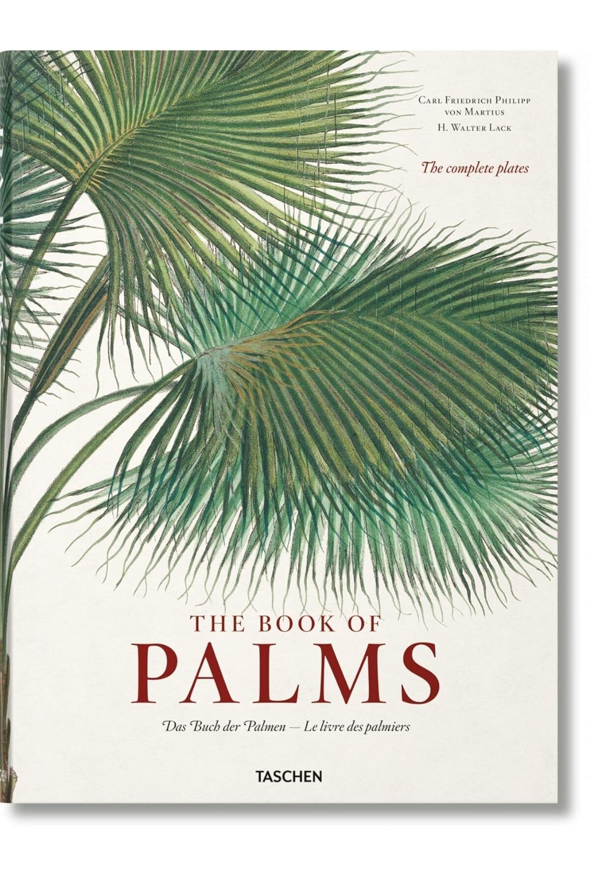 Taschen The Book Of Palms / Das Buch Der Palmen / Le Livre Des Palmiers ...