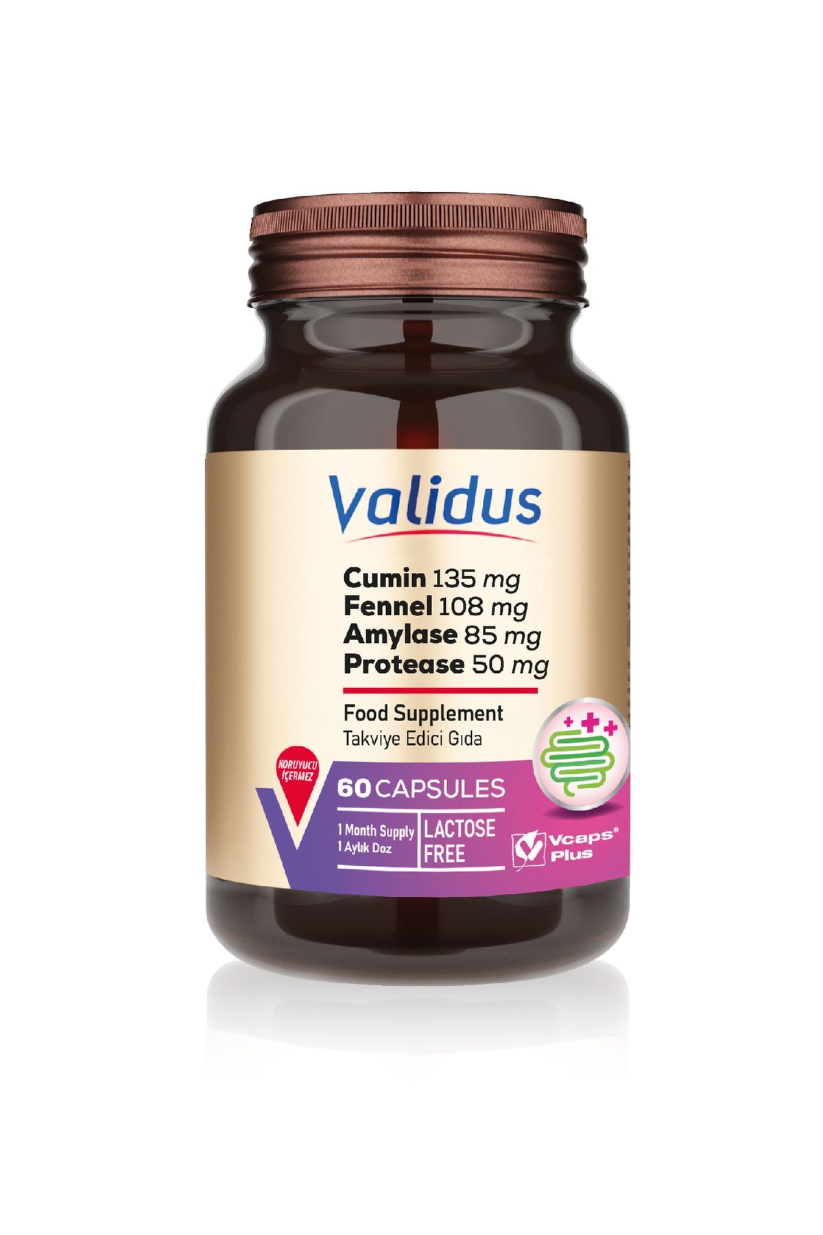 Validus Food Supplements Digestive Comfort Cumin + Fennel + Amylase 60 ...