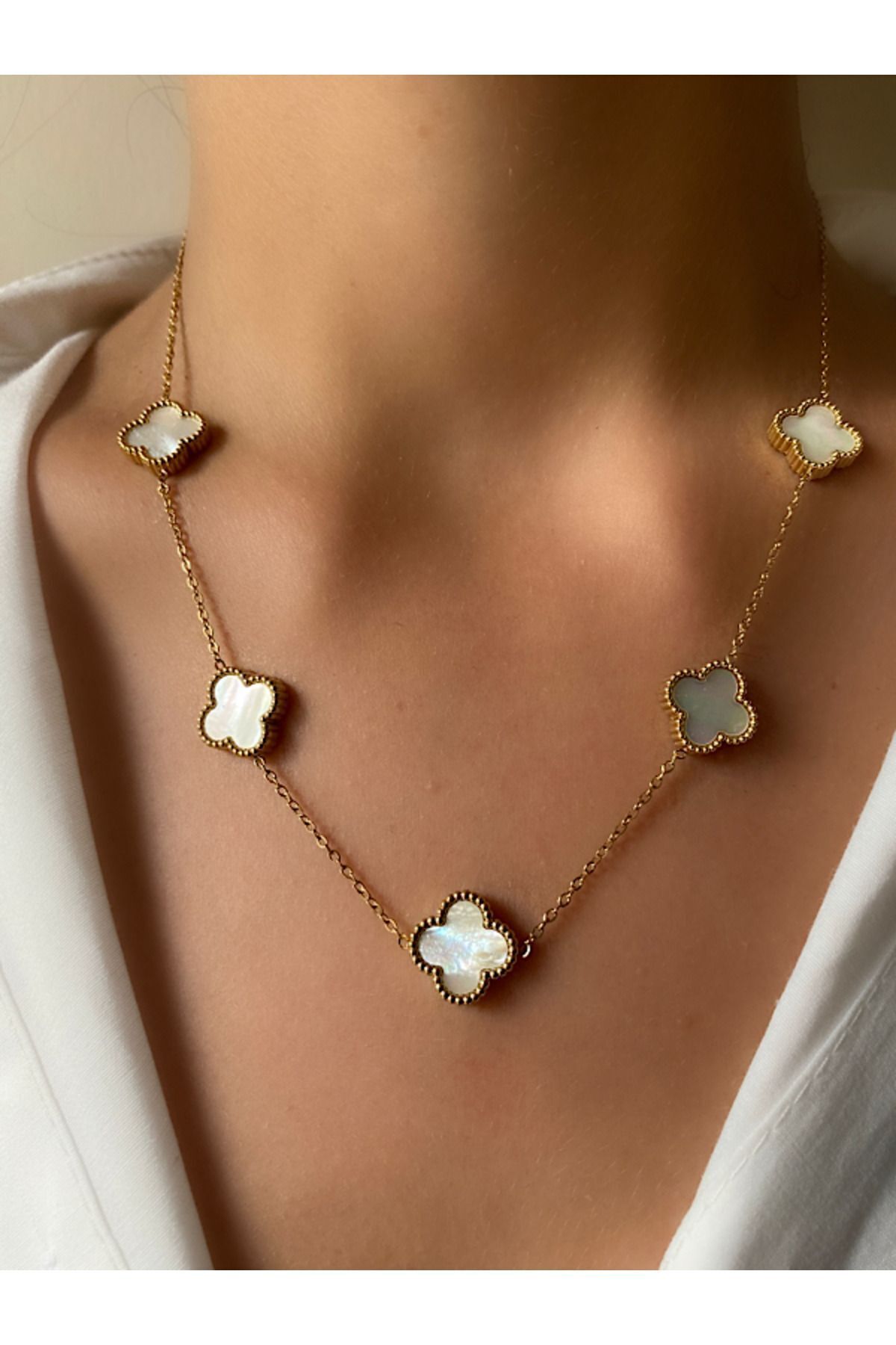 BilShine Paslanmaz Çelik Çift Taraflı Van Cleef Model Set Fiyatı ...