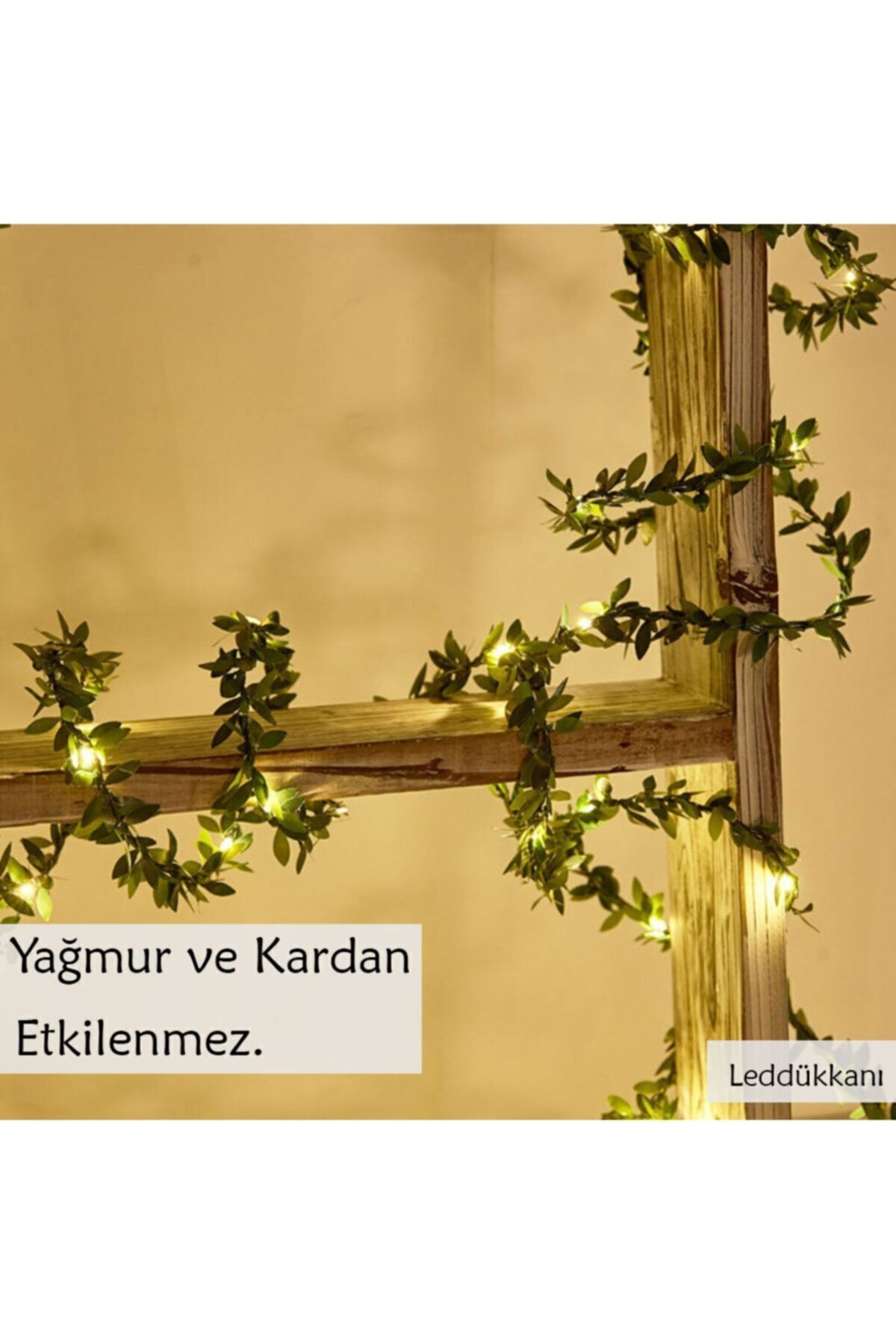 Lucente Leddükkanı 50 Led 7 Metre Sarmaşık Peri Led Işık Güneş Enerjili ...