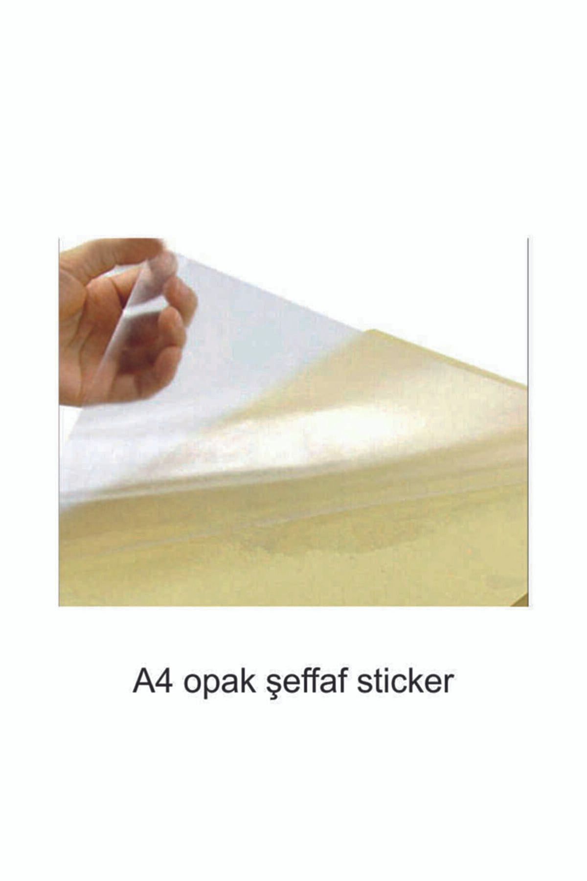 Adestor Şeffaf Etiket Sticker A4 100 Adet - Fiyatı, Yorumları