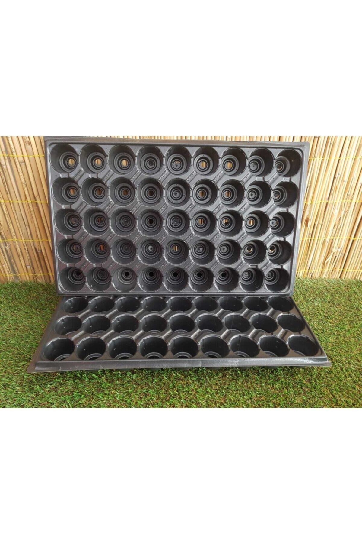 Ekodoğa 2 Seedling Rods - Seed Germination and Growing Bowl with 45 ...