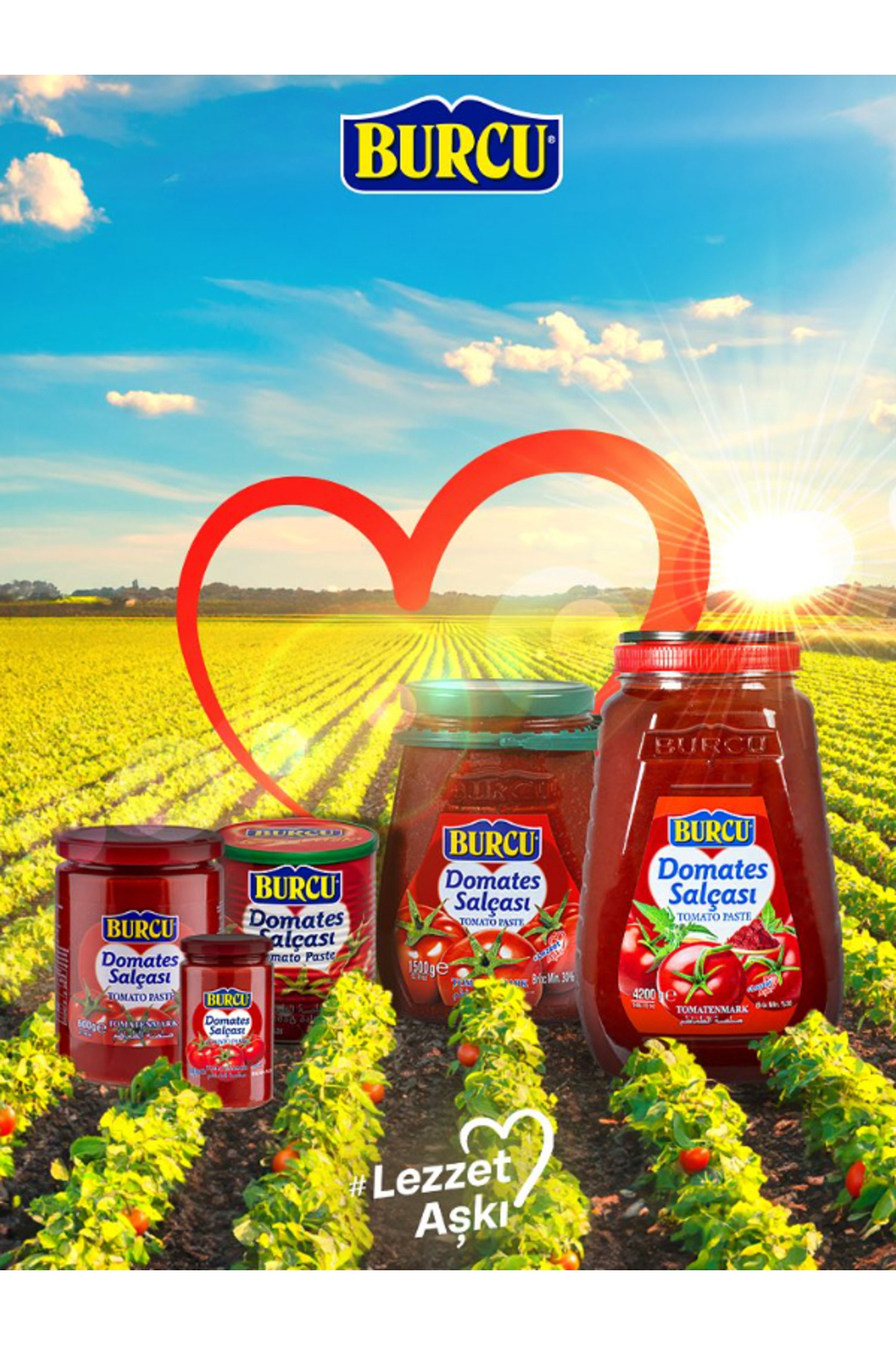 BURCU 4200 gram biber domates karışık salça antep tipi Fiyatı ...