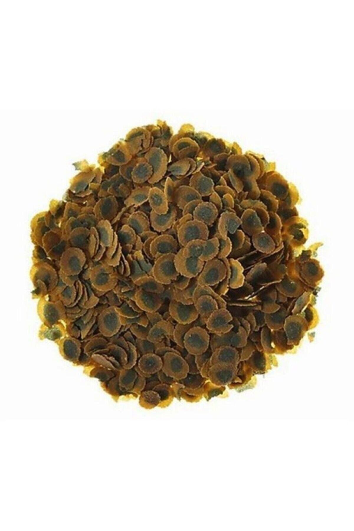 Tetra Pro Algae 100 Gram Bitkisel Balık Yemi Fiyatı, Yorumları - TRENDYOL