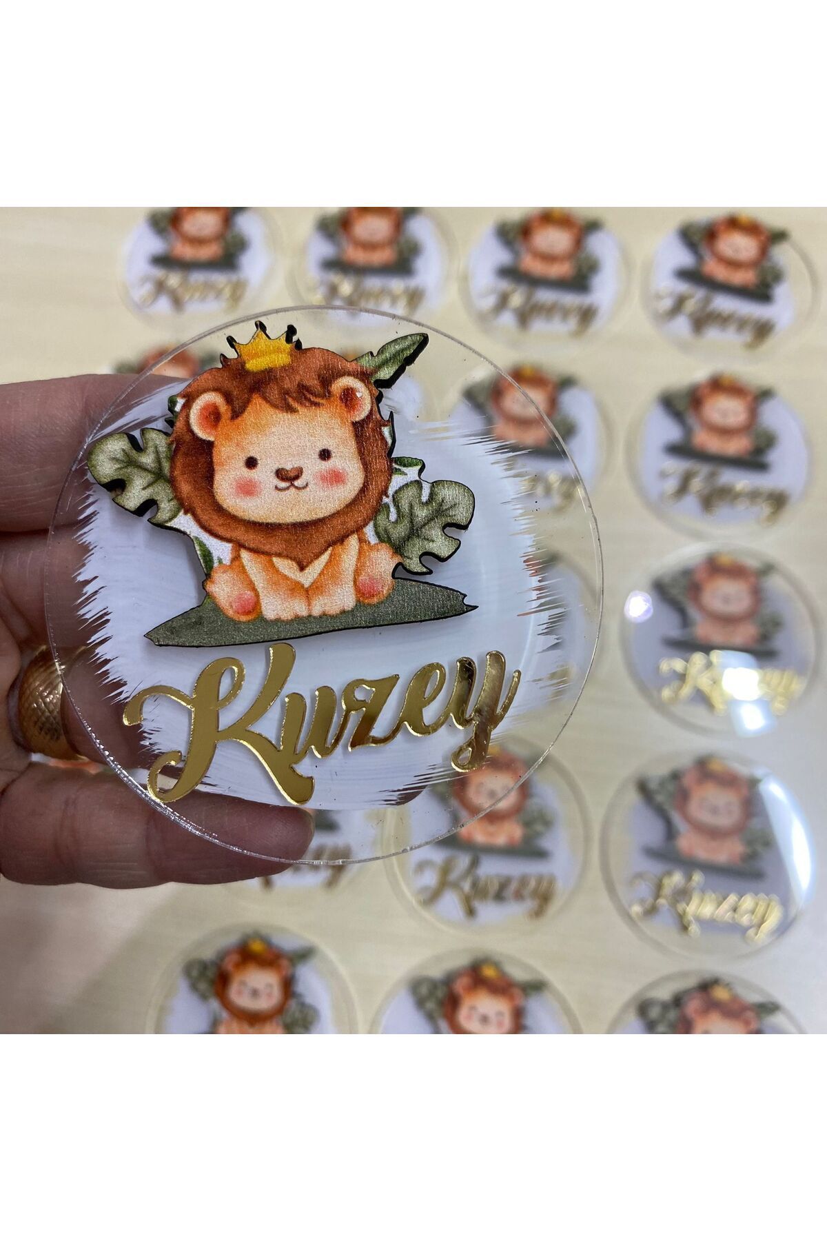 Roseart Şeffaf Pleksi Aslan Figürlü Kapı Süsü Ve Magnet ( 20 adet ...