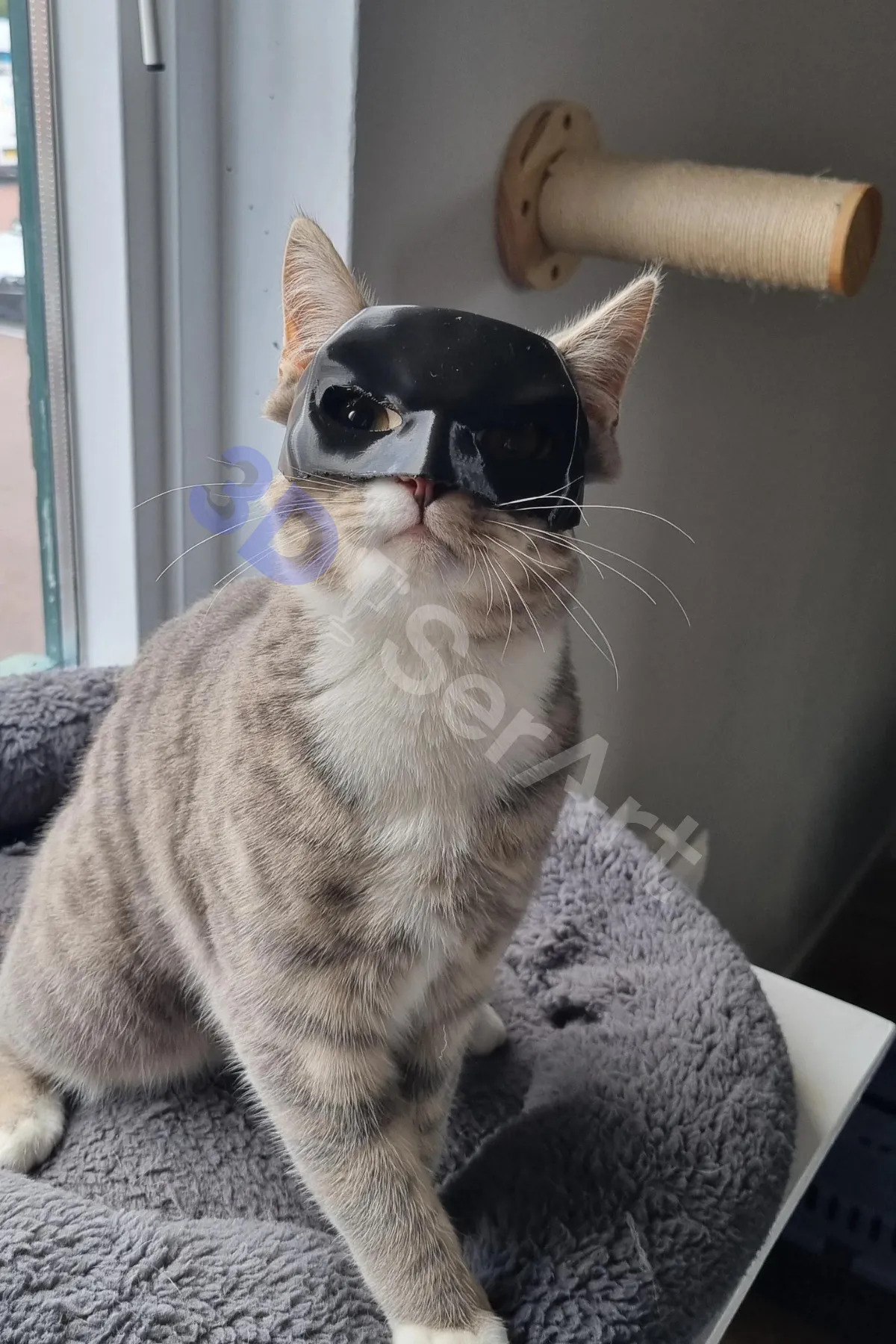 3D SerArt Kedi Batman Maskesi - Fiyatı, Yorumları