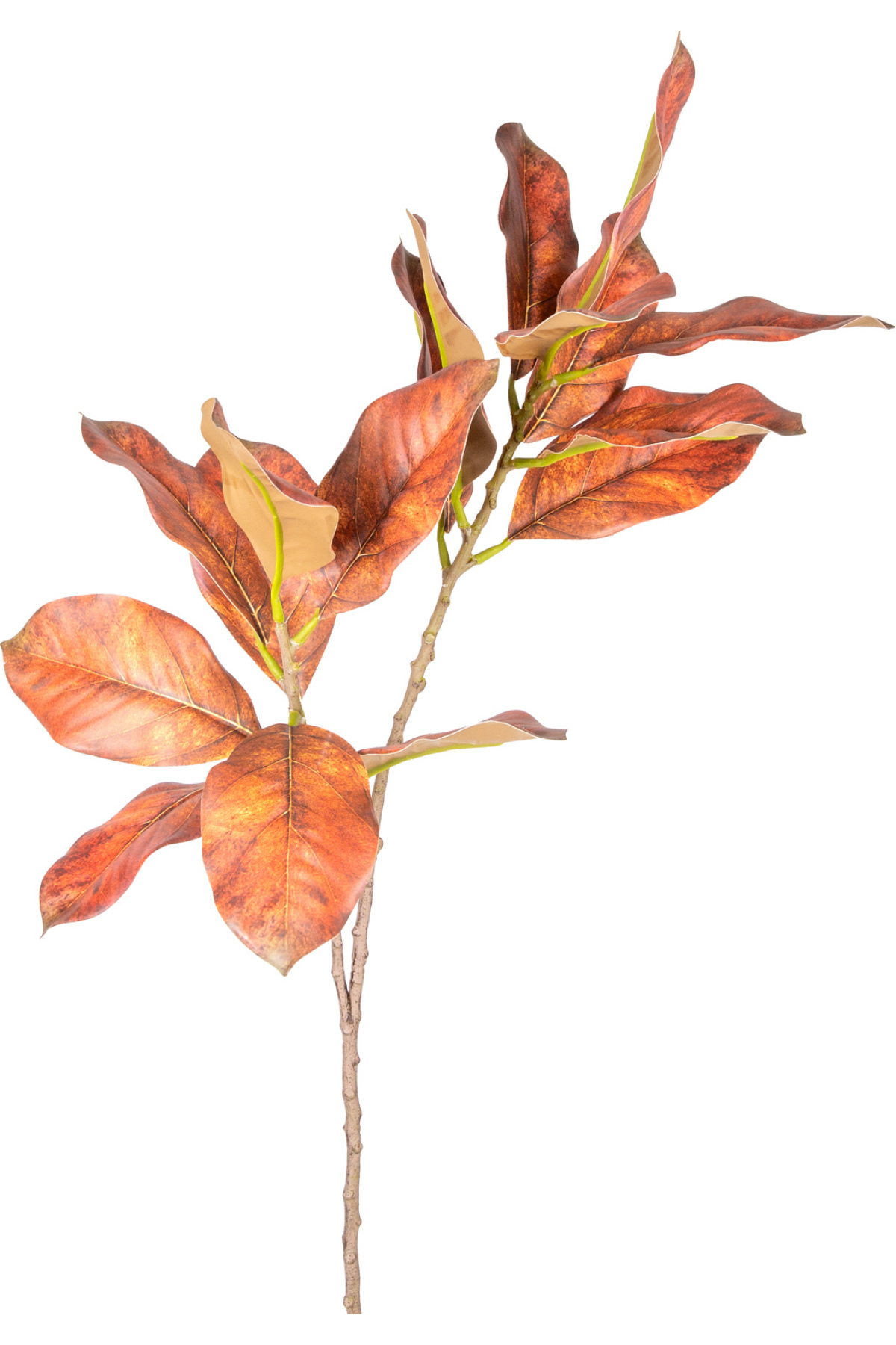 Herdekora Yapay Bitki Manolya Dalı Kahverengi 75 Cm. - Fiyatı, Yorumları