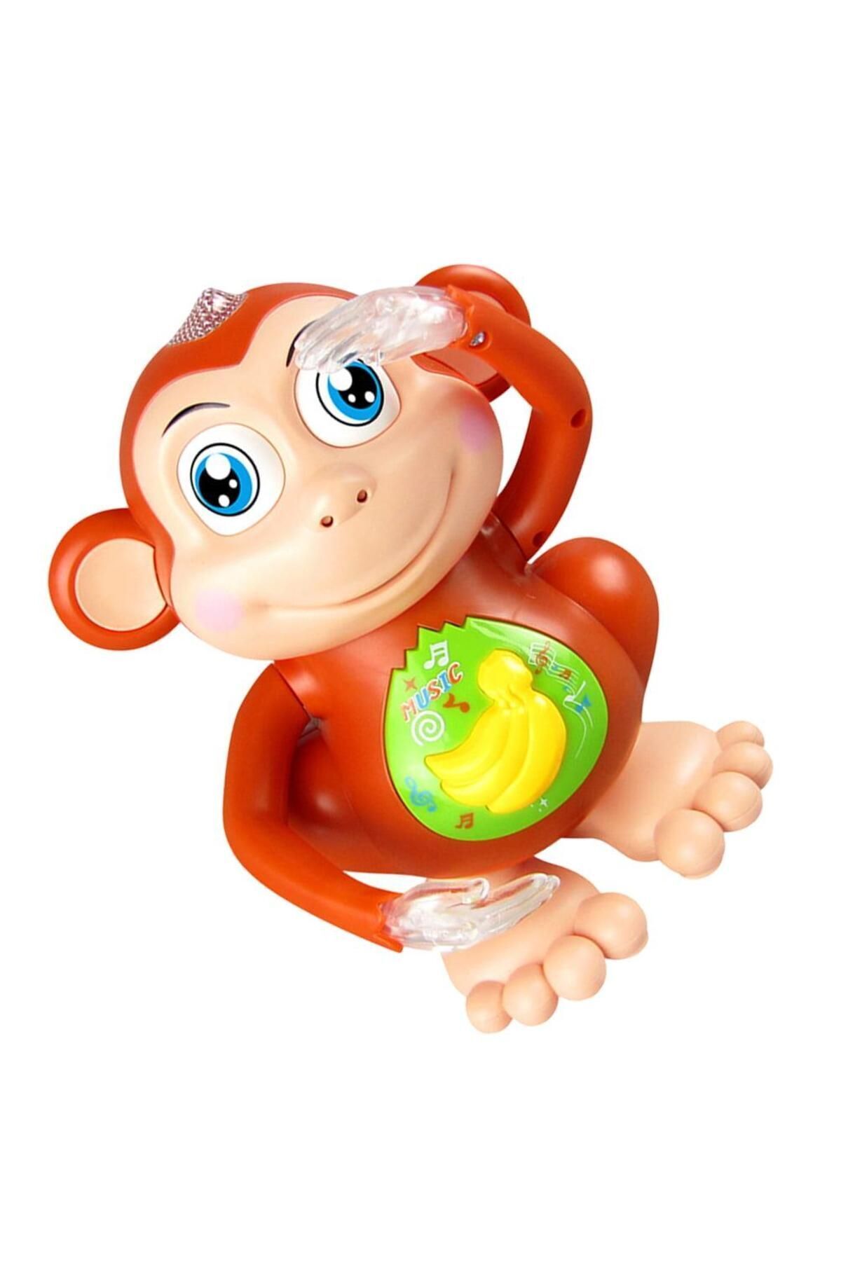 Can Ali Toys Kutulu Pilli Işıklı Sesli Dans Eden Maymun - Fiyatı, Yorumları