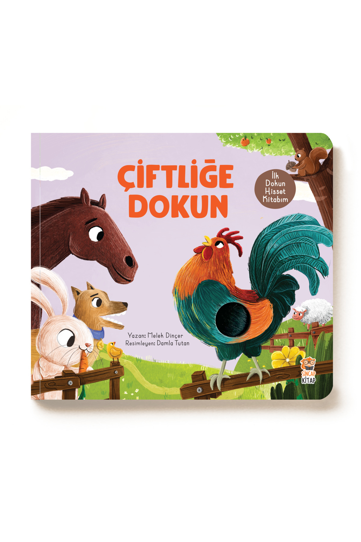 Sincap Kitap Ilk Dokun Hisset Kitabım- Çöle Dokun - Melek Dinçer Fiyatı ...