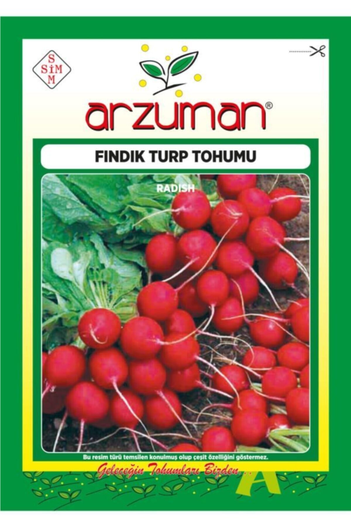 Patika Botanik Fındık Turp Tohumu 2000 Tohum 25 Gram - Fiyatı, Yorumları