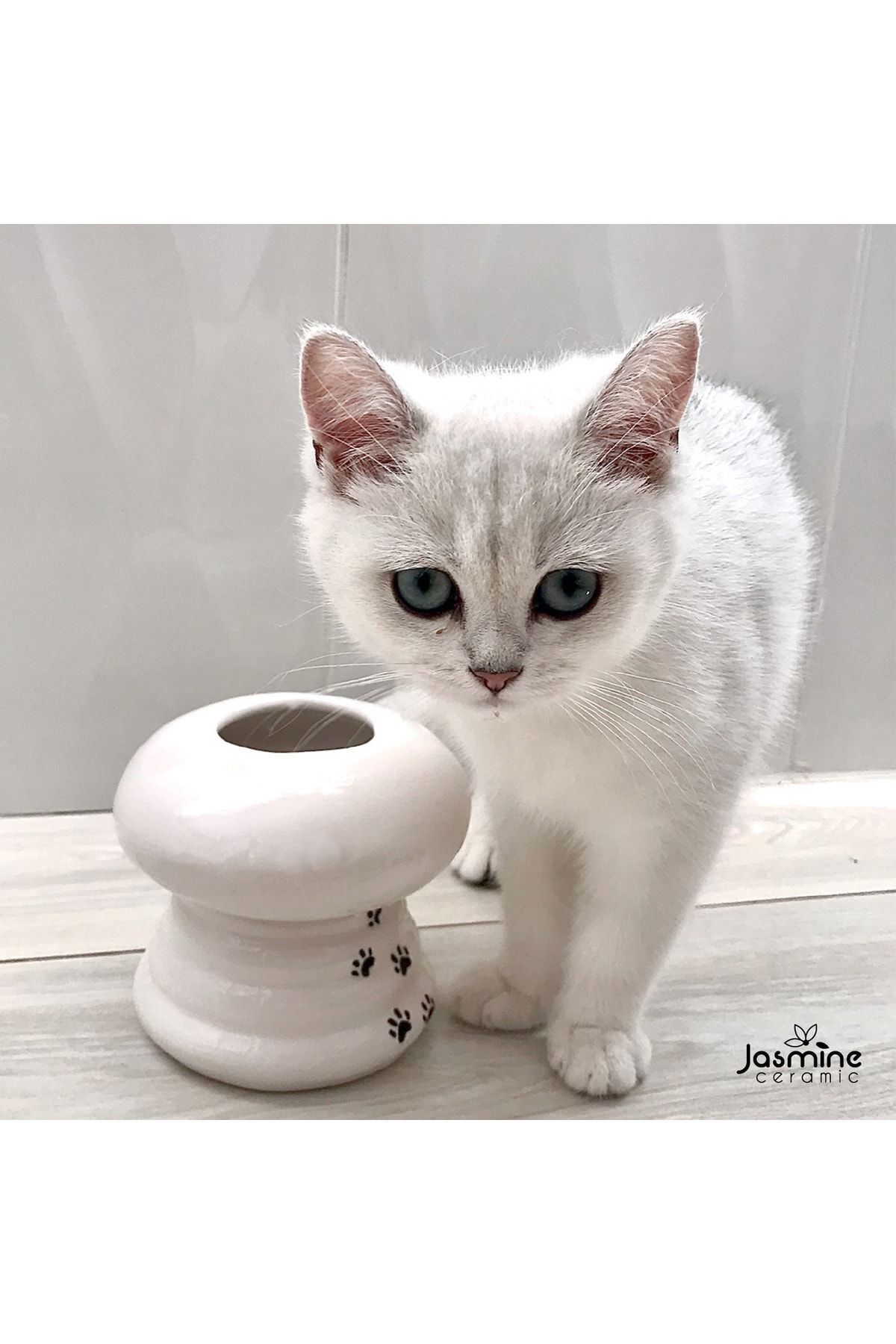 Jasmin Yükseltilmiş Seramik Kedi Su Kabı, Yüksek, Beyaz, Kedi, Özel ...