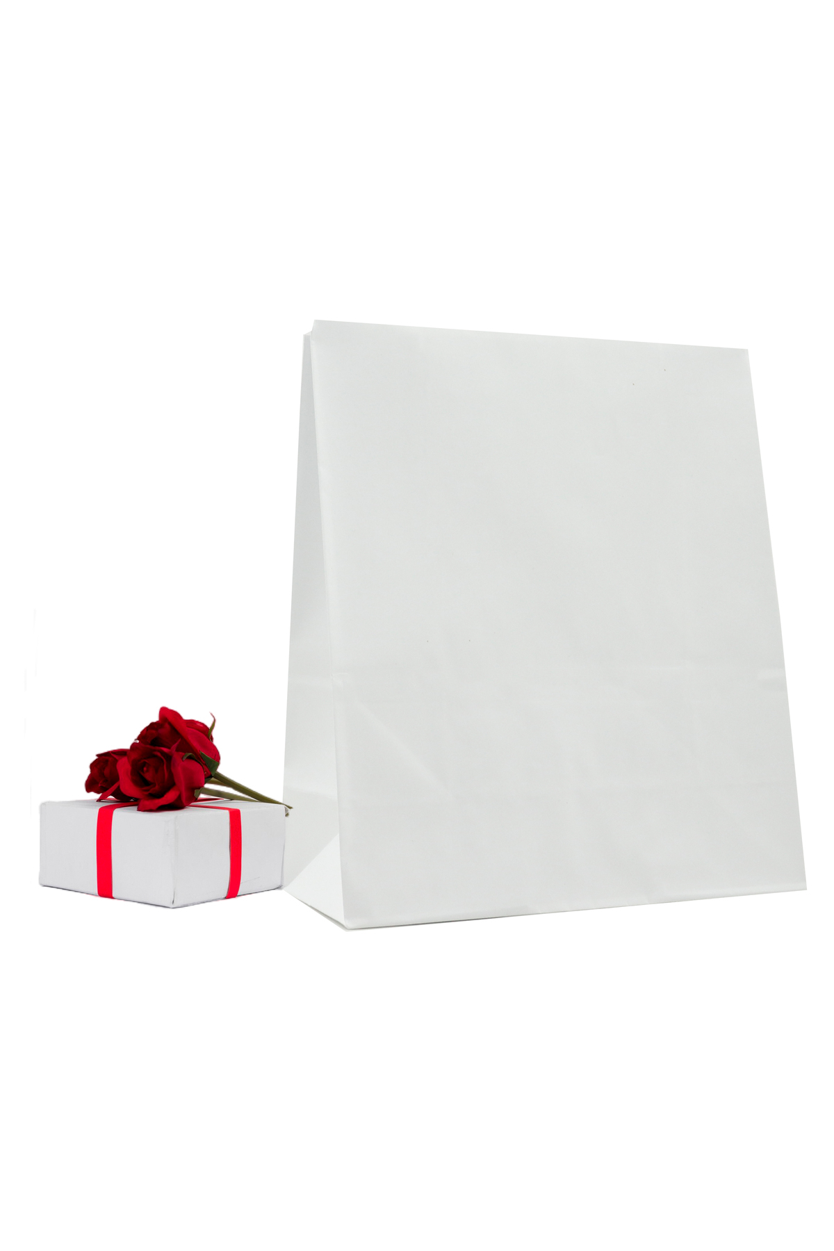 reprodesign Premium 22x26 Beyaz Renkli Bantlı Hediye Paketi 2 Adet ...