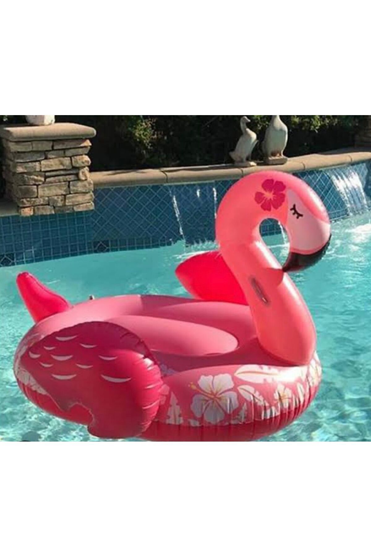 saffan Flamingo can simidiFiyatı, Yorumları - Trendyol