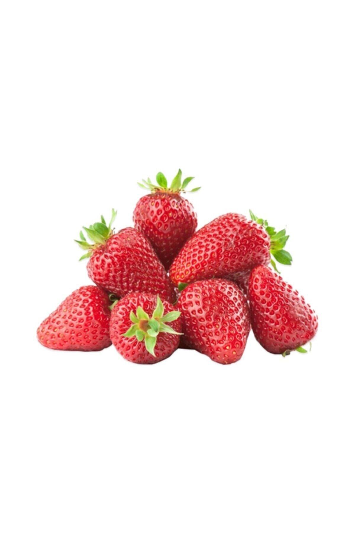 Sebze Meyve Dünyası Çilek 1 kg - Fiyatı, Yorumları