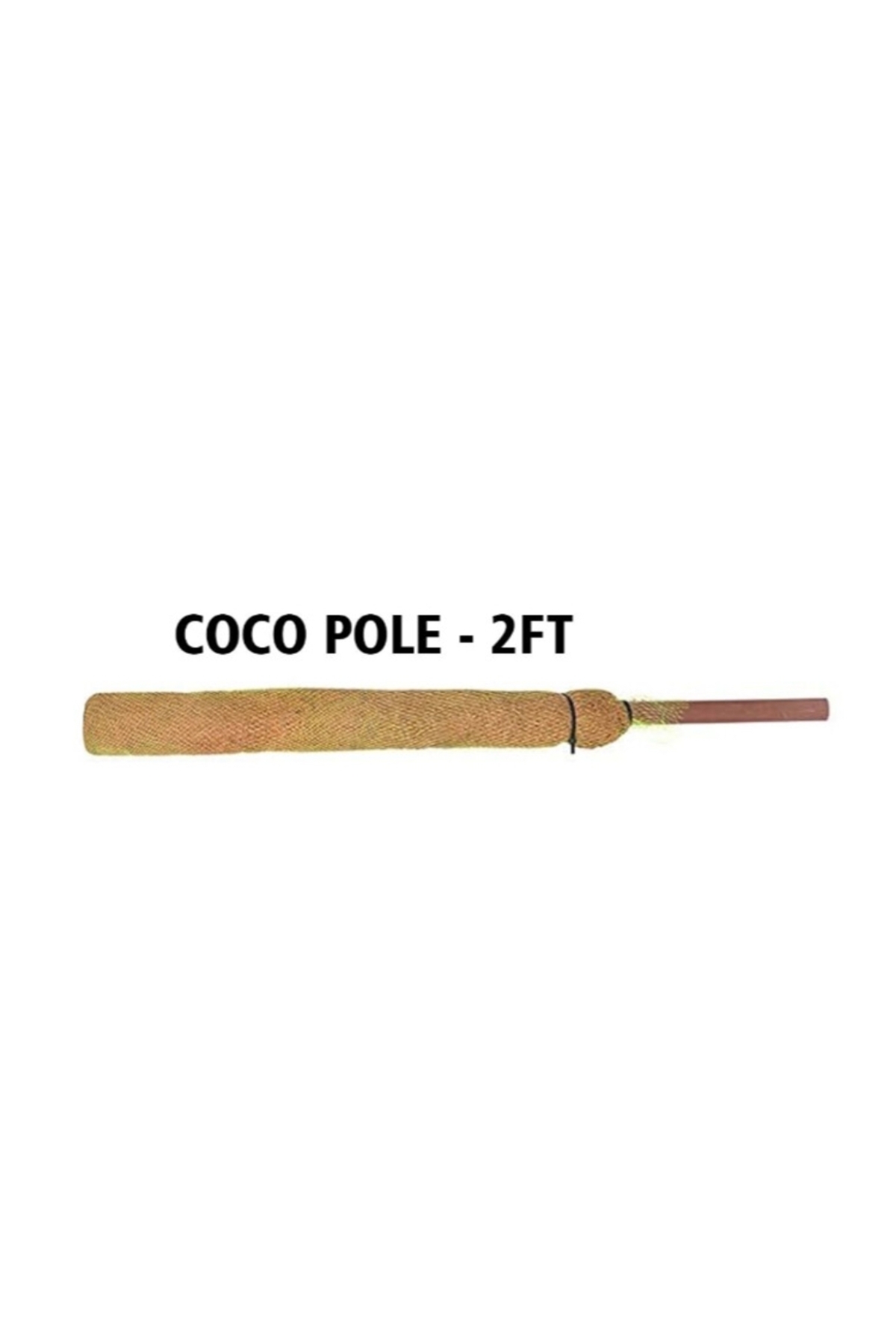Saksı Mix Coco Pole 64x6 cm Hindistan Cevizi Direği Bitki Tırmanma ...