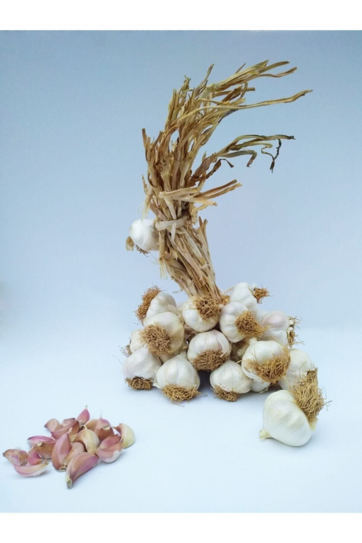 Yörece Taşköprü Sarımsak Kastamonu Taşköprü Sarımsağı 1 Kg Büyük Boy ...