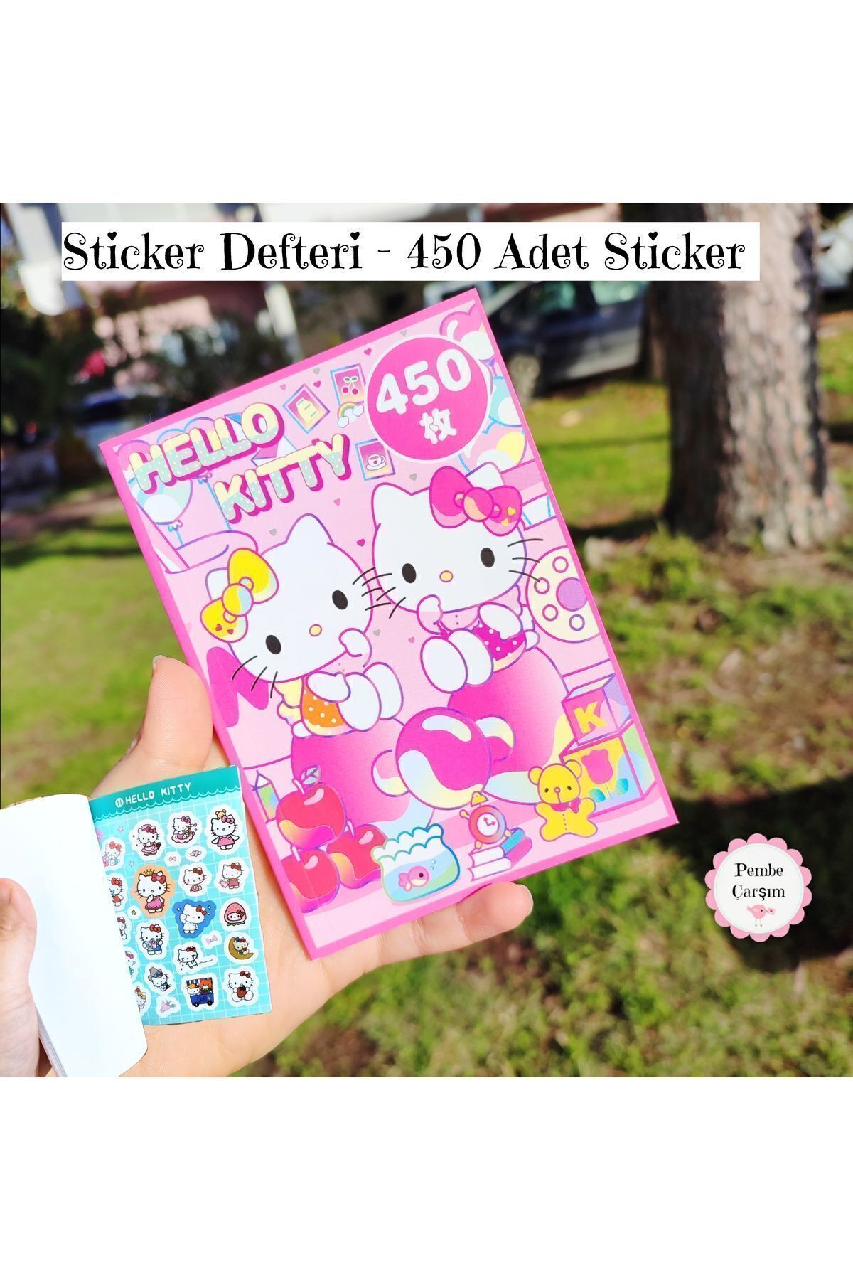 Pembe Çarşı Sevimli Sanrio Sticker Defteri ( 450 Adet Minik Sticker ...