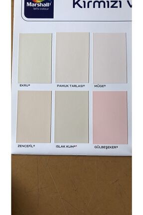 Kum Beji Duvar Boyası ile Evinizde Ferahlık 🌟