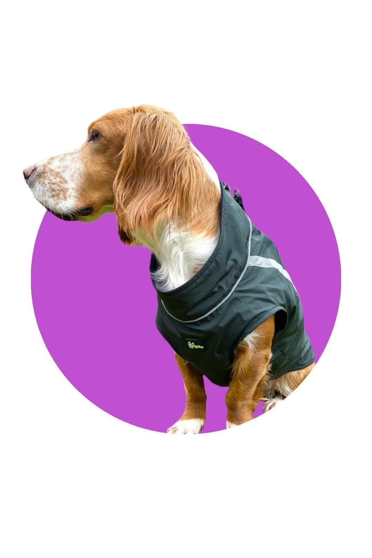 Zubi Dogs Zubirain / Su Geçirmeyen Polar Astarlı Köpek Yağmurluğu ...