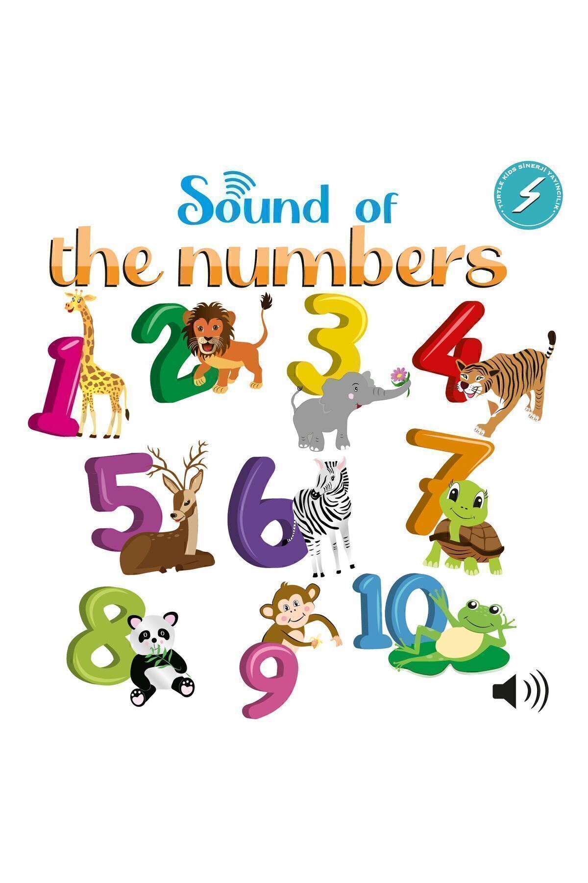 TURTLEKİDS Sound Of The Numbers - Fiyatı, Yorumları