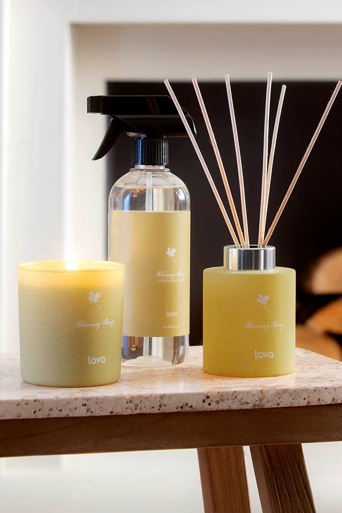 Lova Yatak Blooming Berry Frenk Üzümü Kokulu Oda Kokusu, 200ml - Fiyatı ...