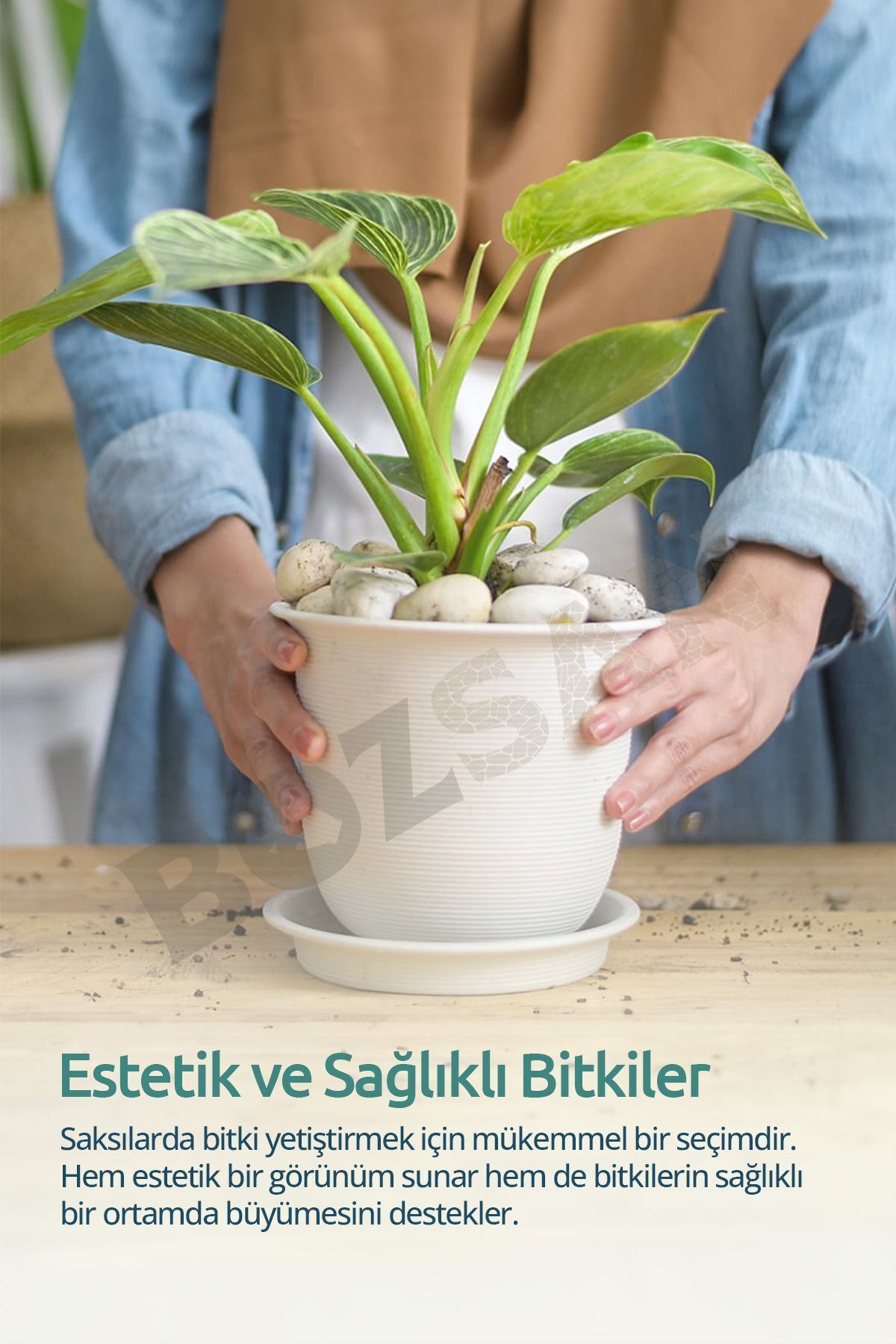 Bozsan Beyaz Dolomit Taş 10 Kg 4-6cm Dolomit Taşı Bahçe Süs Akvaryum ...