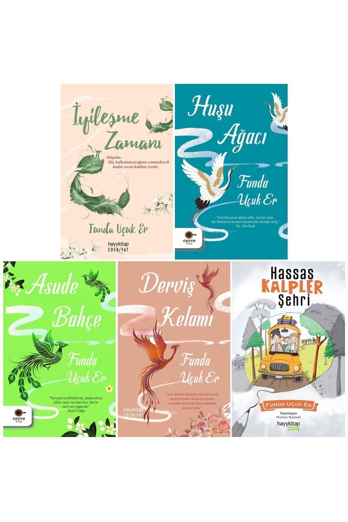 Hayykitap Funda Uçuk Er 5 Kitap Set / İyileşme Zamanı-Huşu Ağacı-Asude ...