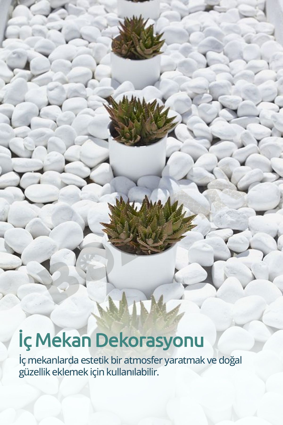 Bozsan Beyaz Dolomit Taş 10 Kg 6-10cm Dolomit Taşı Bahçe Süs Akvaryum ...