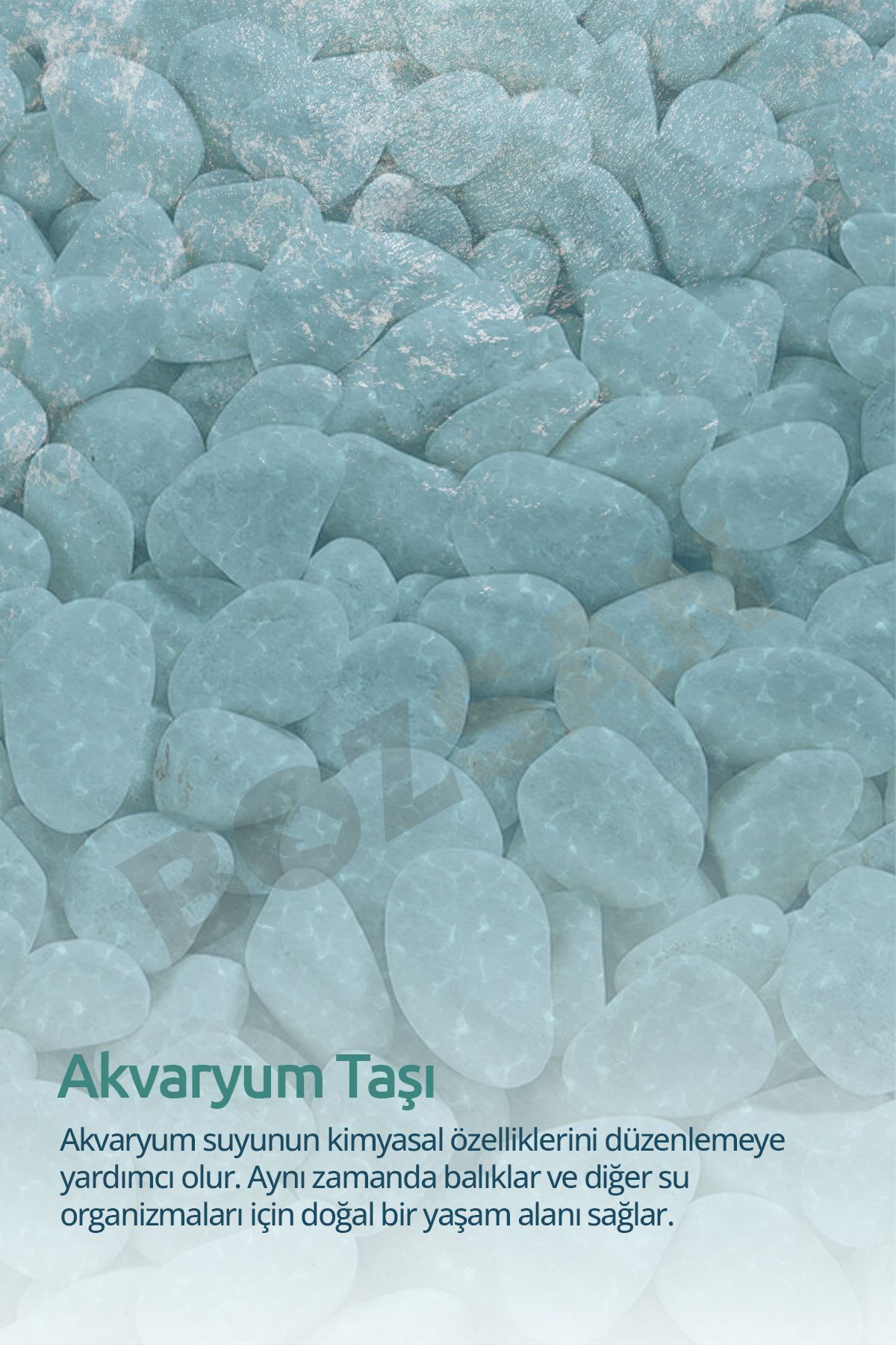 Bozsan Beyaz Dolomit Taş 10 Kg 4-6cm Dolomit Taşı Bahçe Süs Akvaryum ...