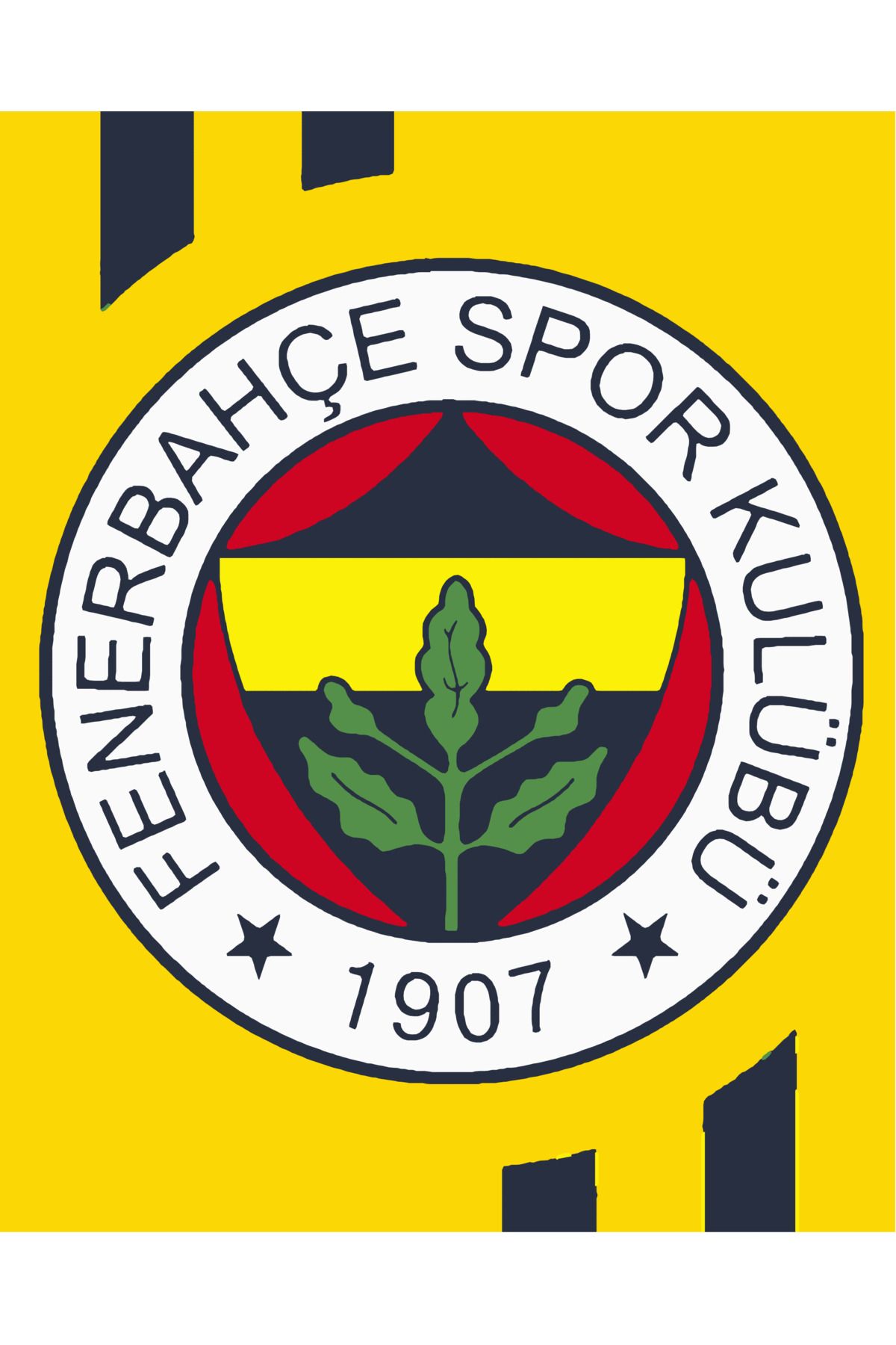 Lamba Cini Sayılarla Boyama Kasnaklı Tablo Seti Fırça Boya Dahil 40x50 ...