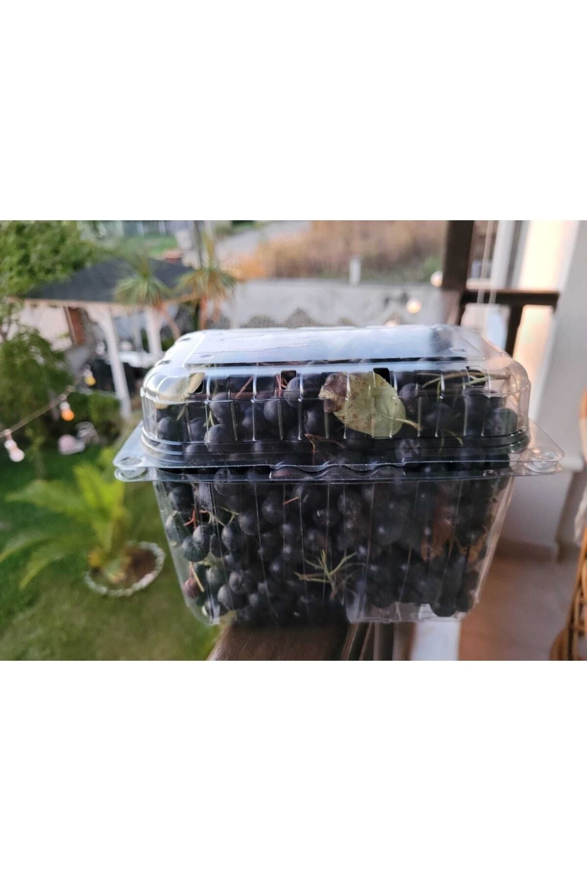 Marcel Aronya Tıbbi ve Aromatik Aronya Meyvesi 3 Kg - Organik ...