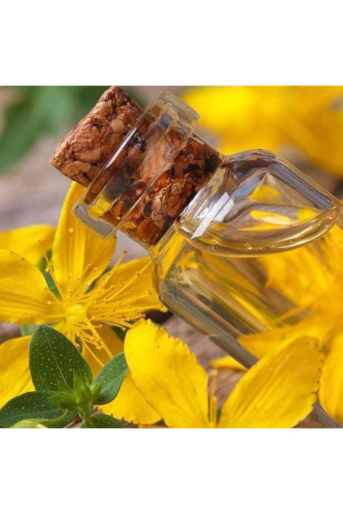 ayaz fidancılık Kantoran Yağı 130ml Fiyatı, Yorumları - Trendyol