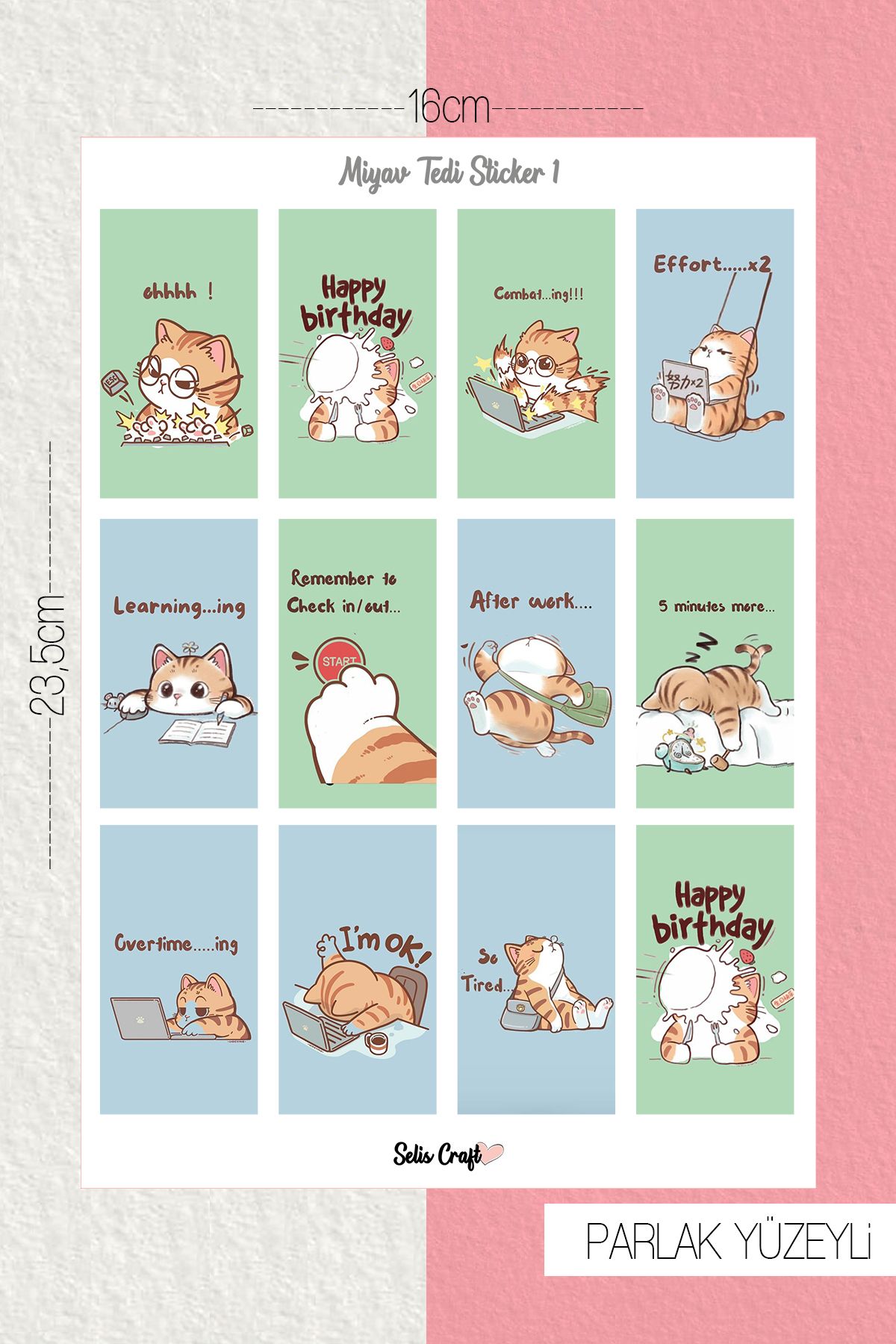 SelisCraft Miyav Tedi Temalı PARLAK Sticker 01 Ajanda Planlayıcı Bullet ...