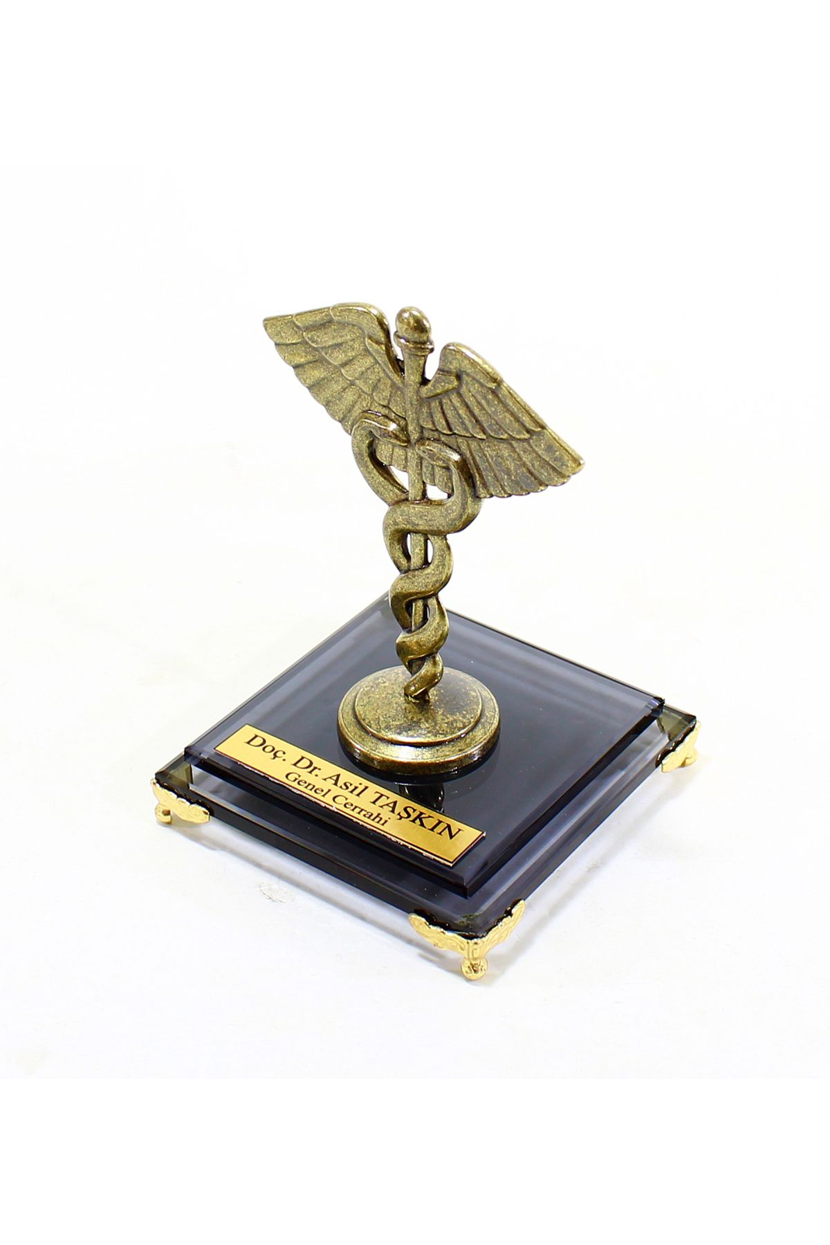 Art Online Metal Caduceus Sembolü - Doktorlar, Hemşireler, Eczacılar ve ...