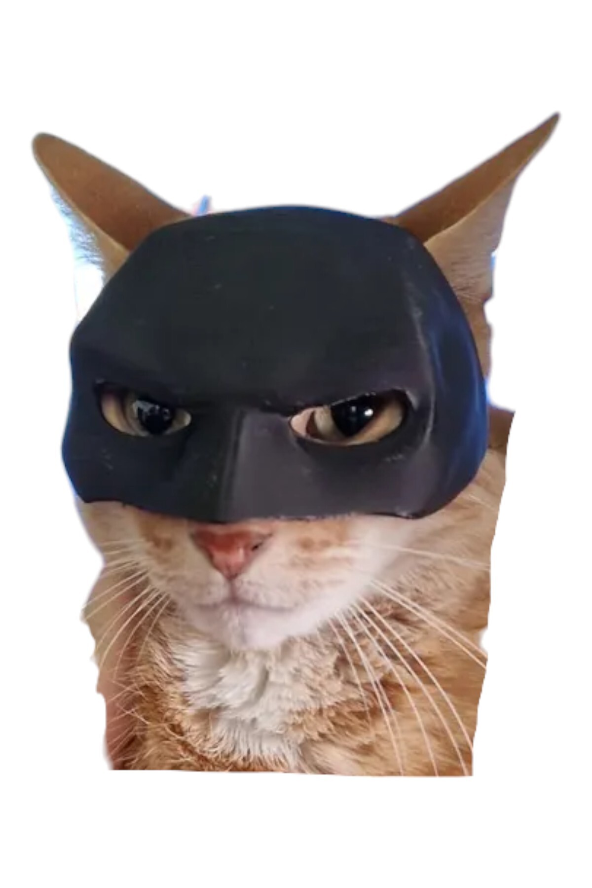 Miyazaki Yetişkin Kediler İçin Batman Maskesi - Sevimli ve Eğlenceli ...