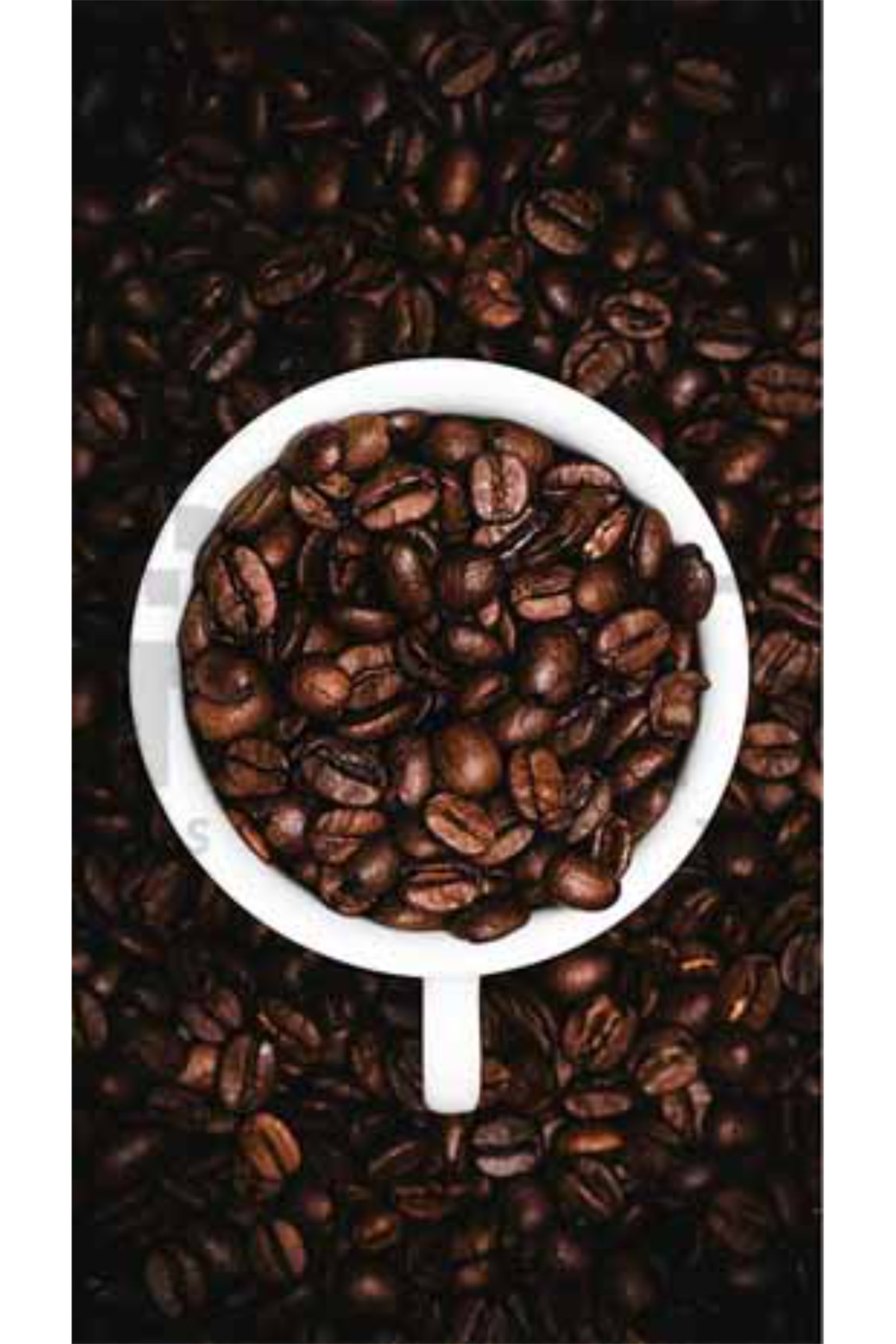 pixartsanat Coffee Beans in the Cup Pixart Art Diamond Mosaic Painting ...