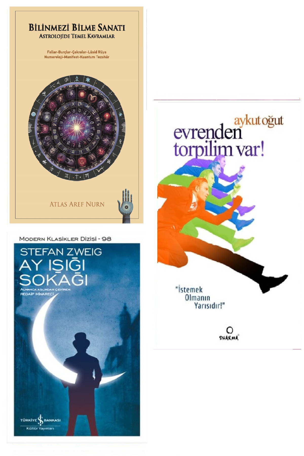 Türkiye İş Bankası Kültür Yayınları Evrenden Torpilim Var - Aykut Oğut Bilinmezi Bilme Sanatı ...