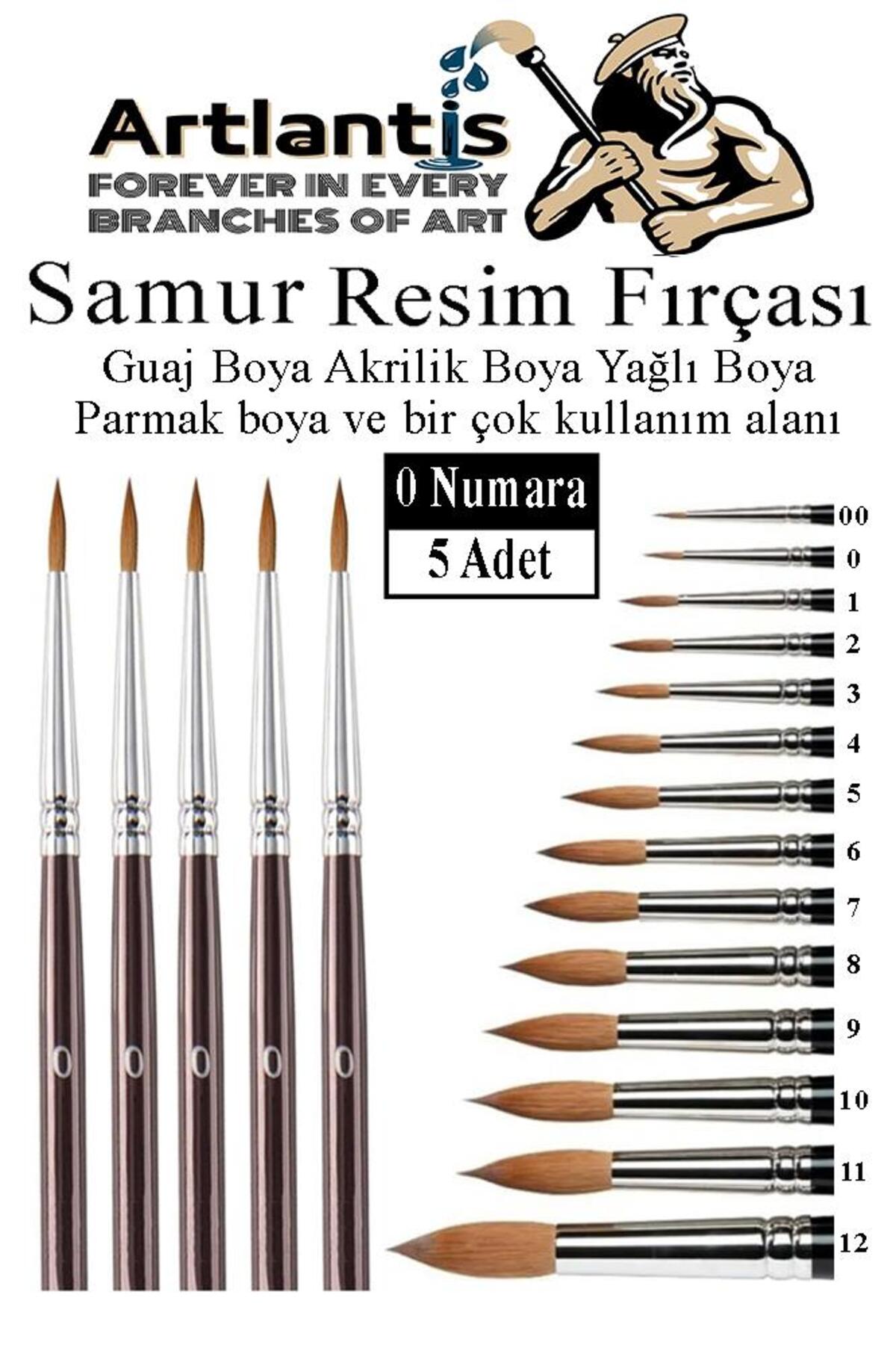 Artlantis Resim Fırçası 0 Numara 5 li 1 Paket Samur Yuvarlak Uçlu Fırça ...