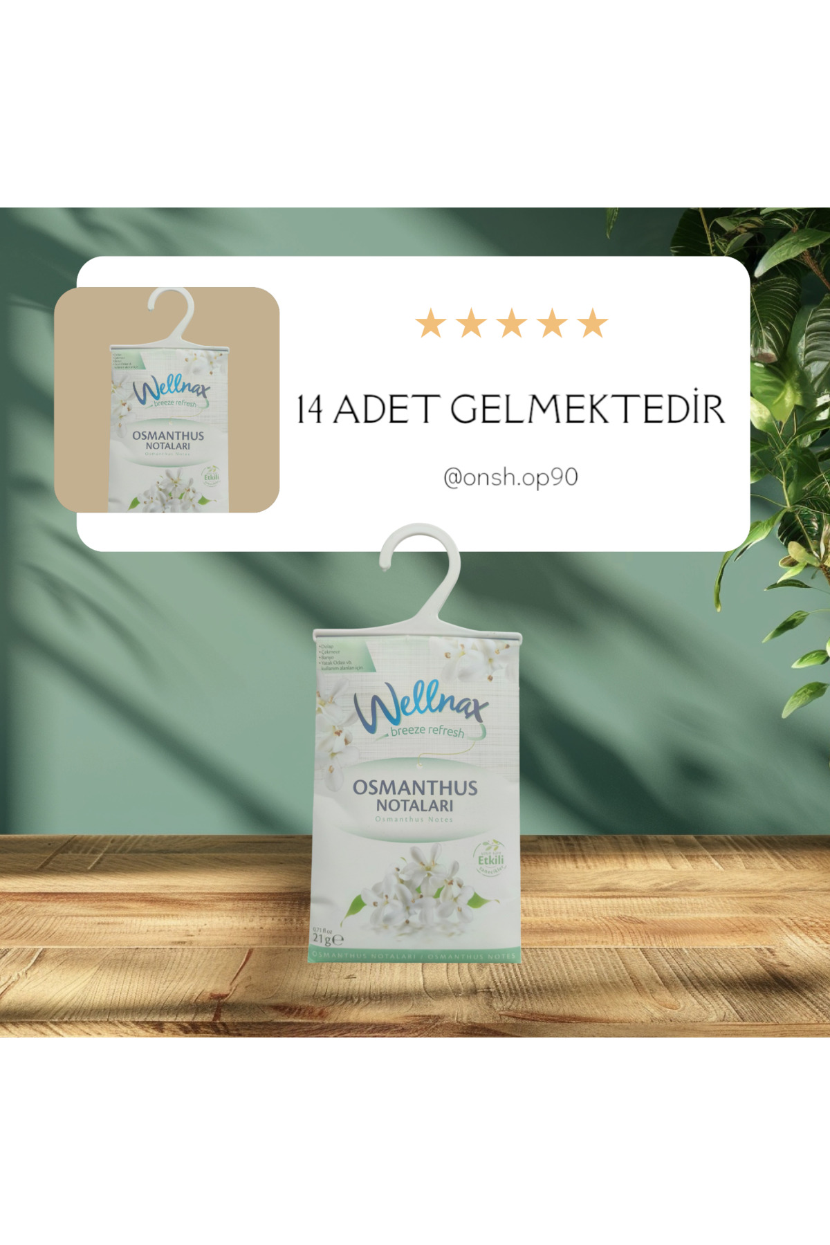 WELLAX Wellnax breeze refresh dolap içi çekmece kokusu. Osmanthus ...