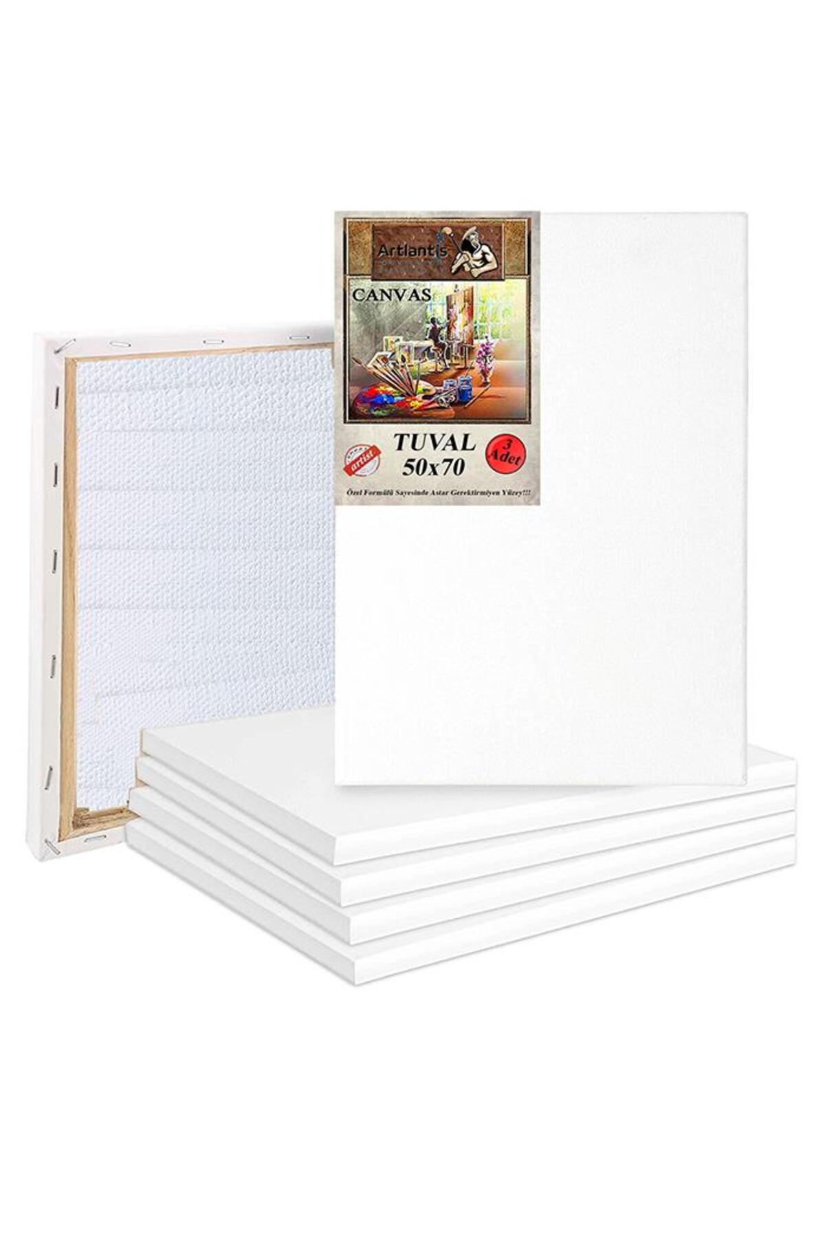Artlantis Tuval 50x70 Arkadan Zımbalı Astarlı 3 Adet Resim Tuvali 50*70 ...