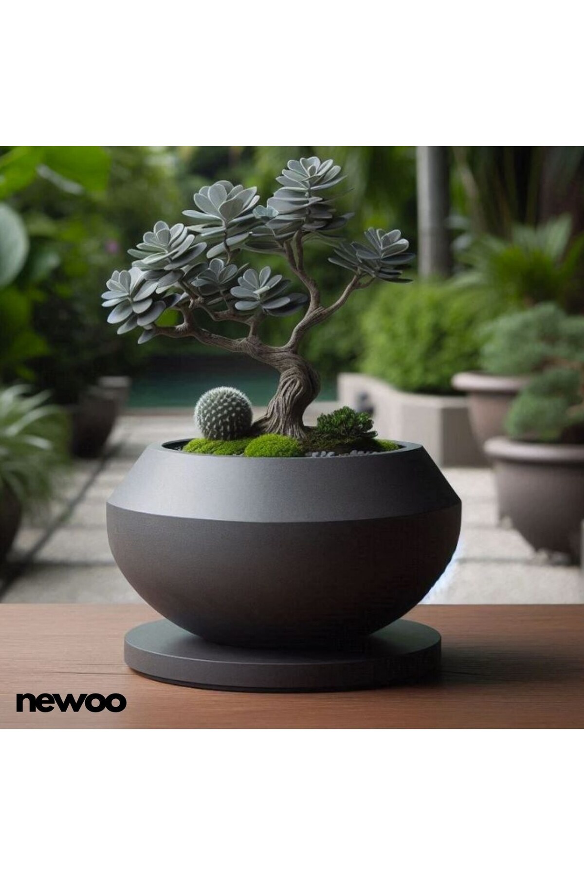newoodesign Modern Japon Tasarım Doğal Plastik Bonzai Saksılık - Bonsai ...