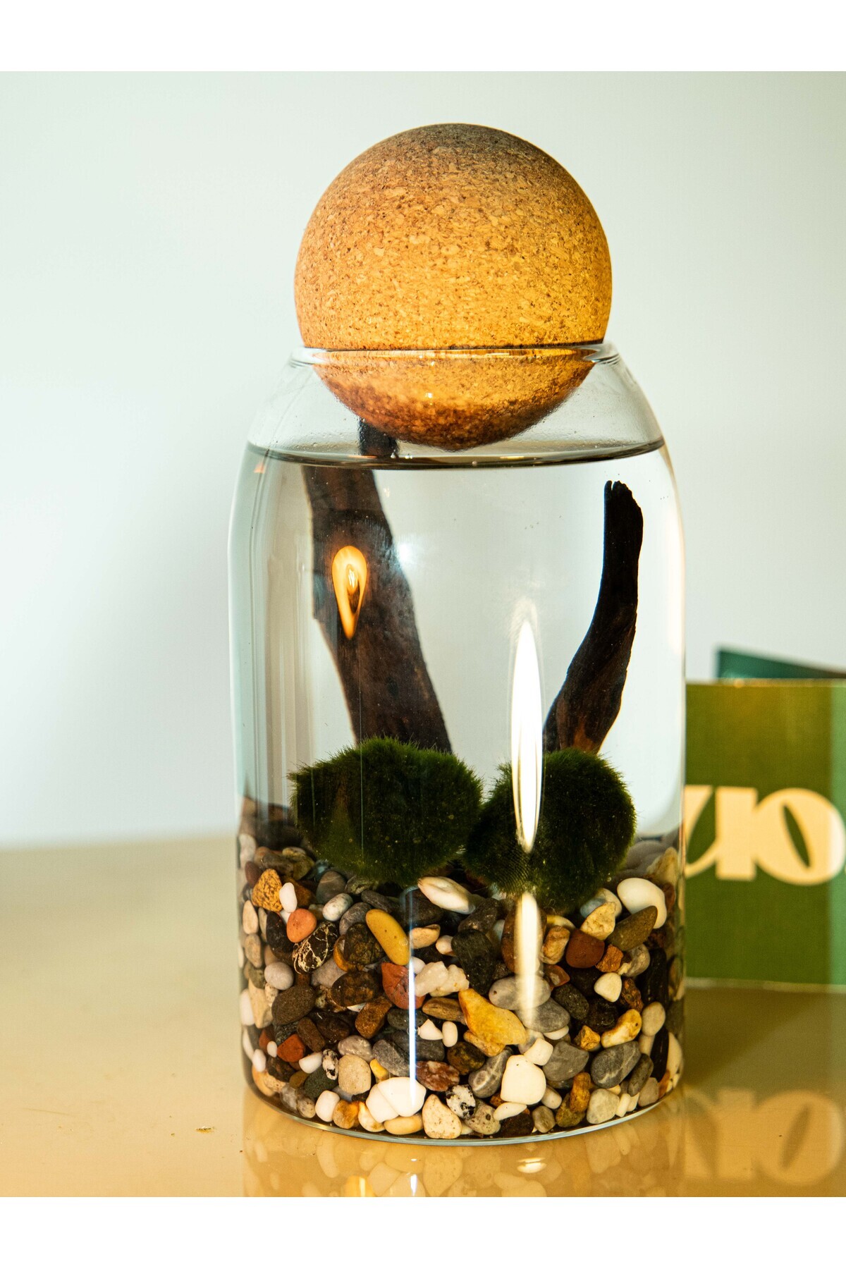 Urbanoasis designs Marimo Moss Balls, Yosun Topu Fiyatı, Yorumları - Trendyol