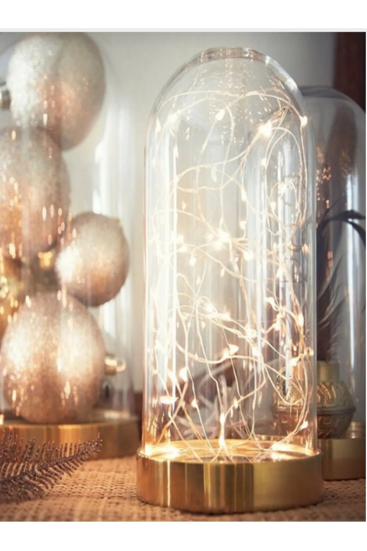 Wallover Design Kablosuz Pilli Ledli Ters Fanus Teraryum ( Pil Ve Led ...