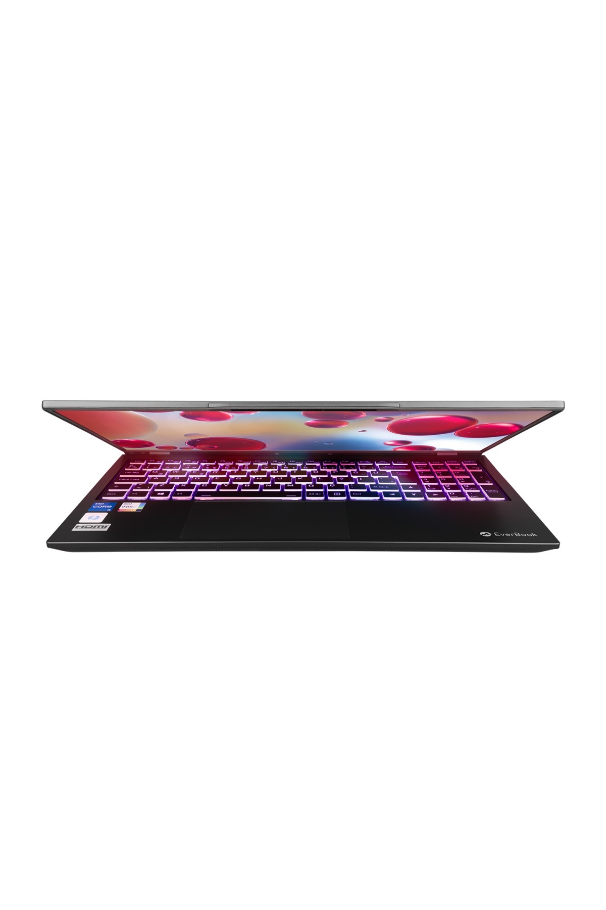 Everest Everbook Core I5 1135g7 8gb Ram 500gb Nvme M.2 Ssd 15.6" Ips ...