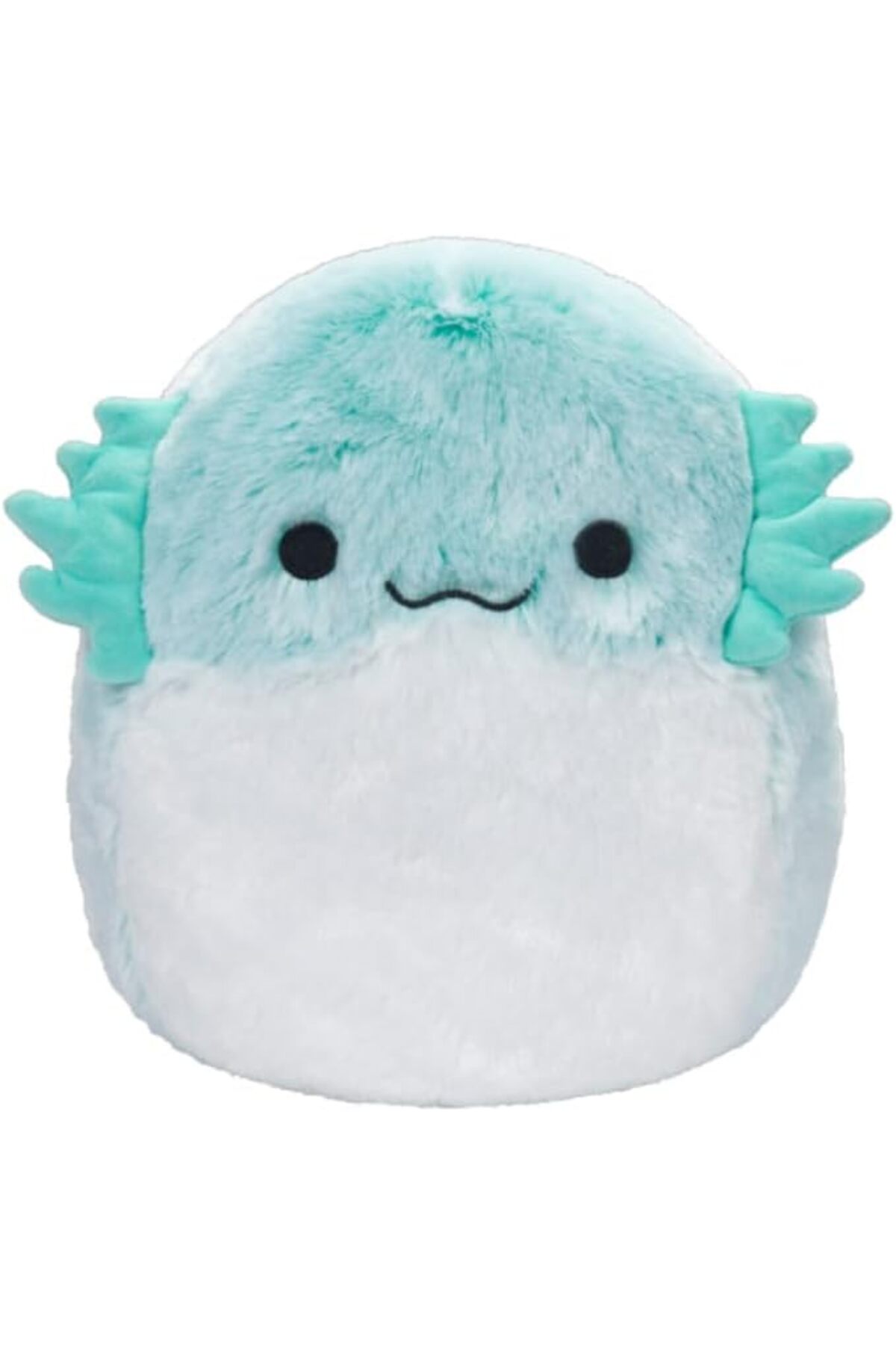 Squishmallows لعبة Squishmallow Fuzzamallows Med Plush Flannery Teal ...