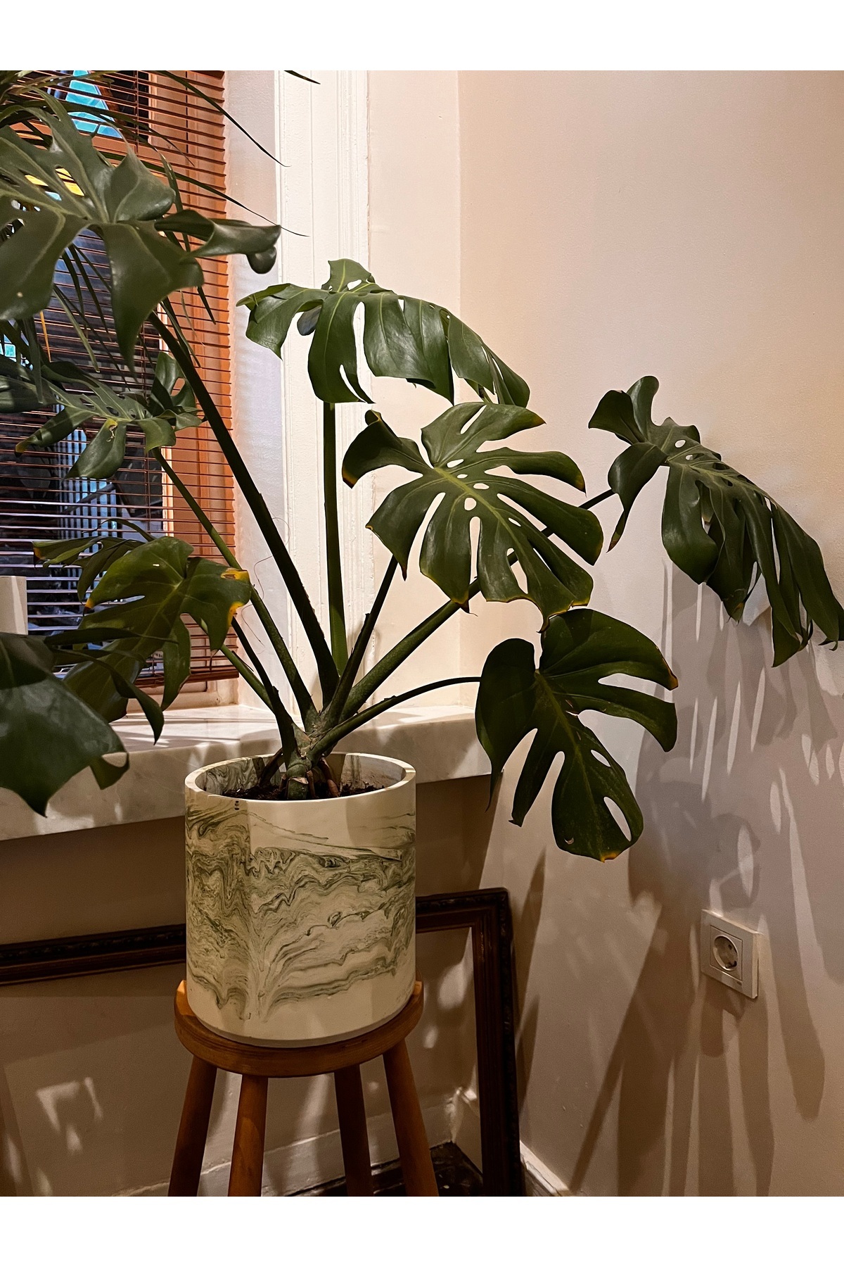 Rem Studio Saksı Fiyatı, Yorumları - Trendyol