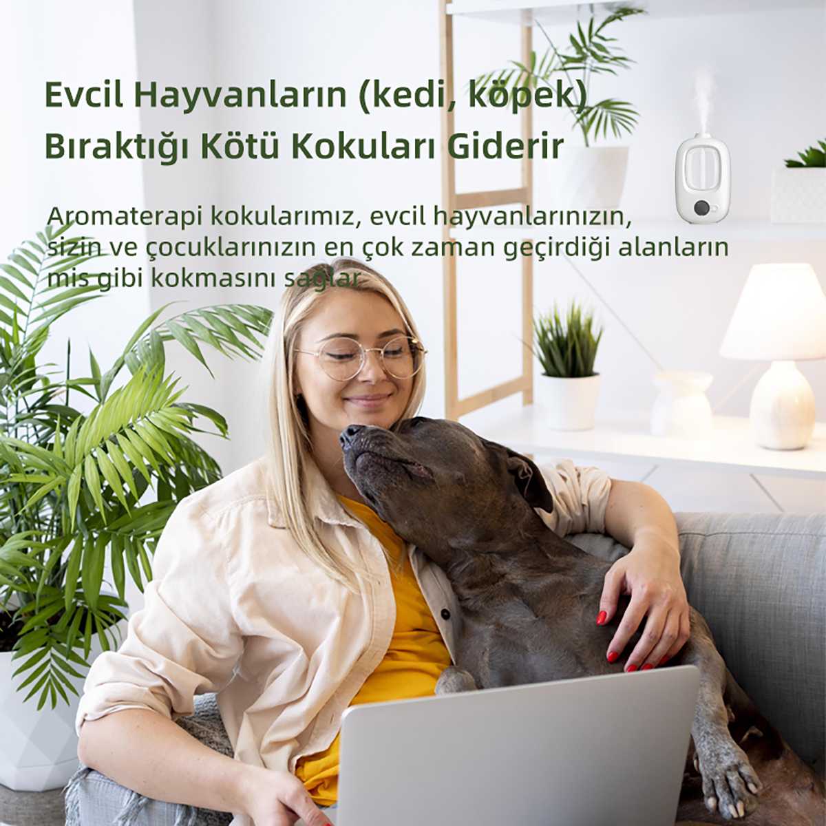 Mioji Mio Smell 2x Yeni Nesil Şarjlı Otomatik Oda Kokusu Makinesi (1 ...