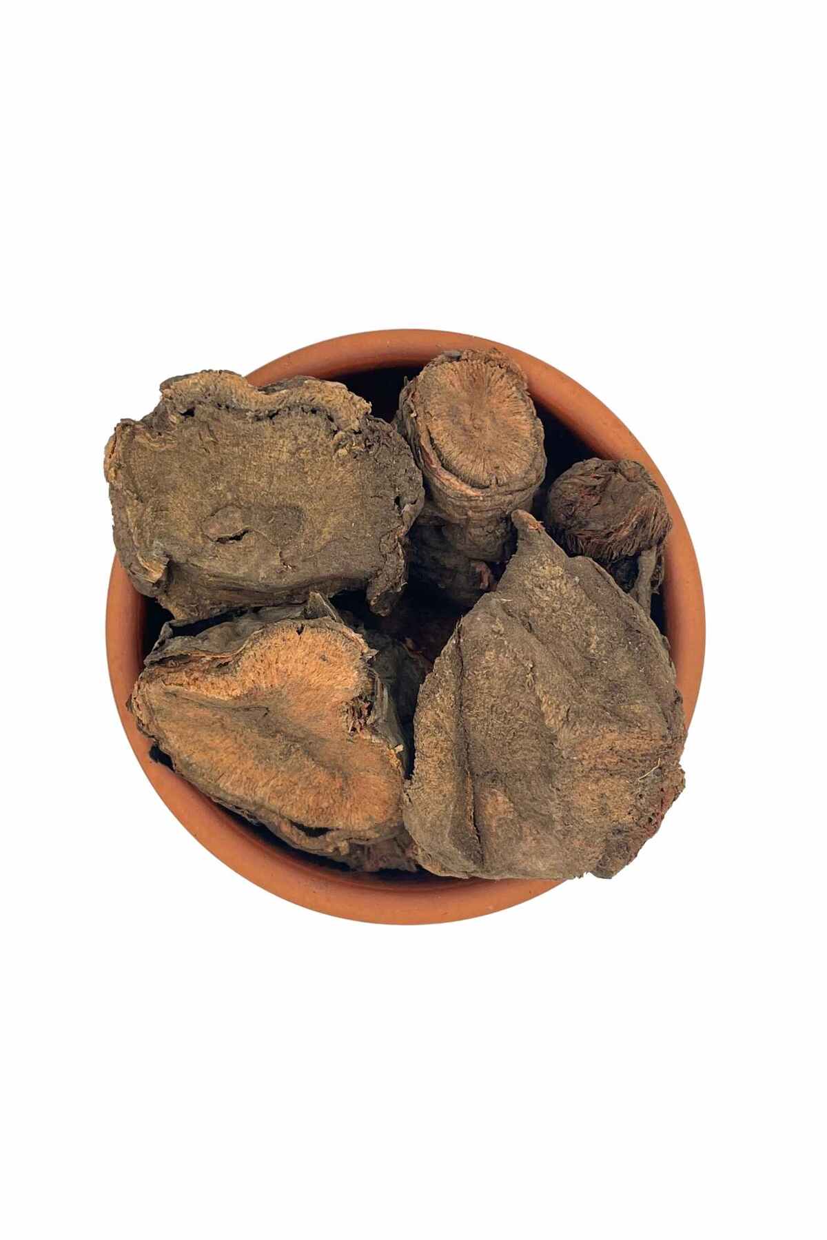 Bade Shop Işkın Otu Kökü 50 Gram - Fiyatı, Yorumları